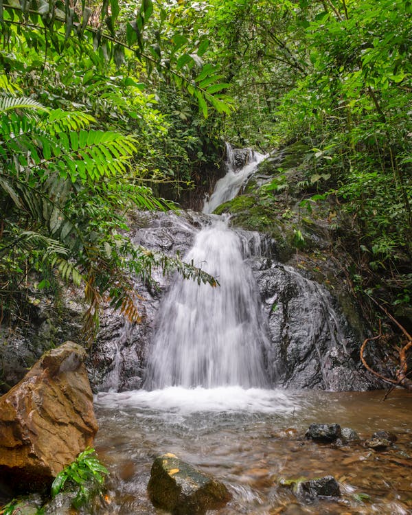 Costa Rica Photos, Download The BEST Free Costa Rica Stock Photos & HD ...