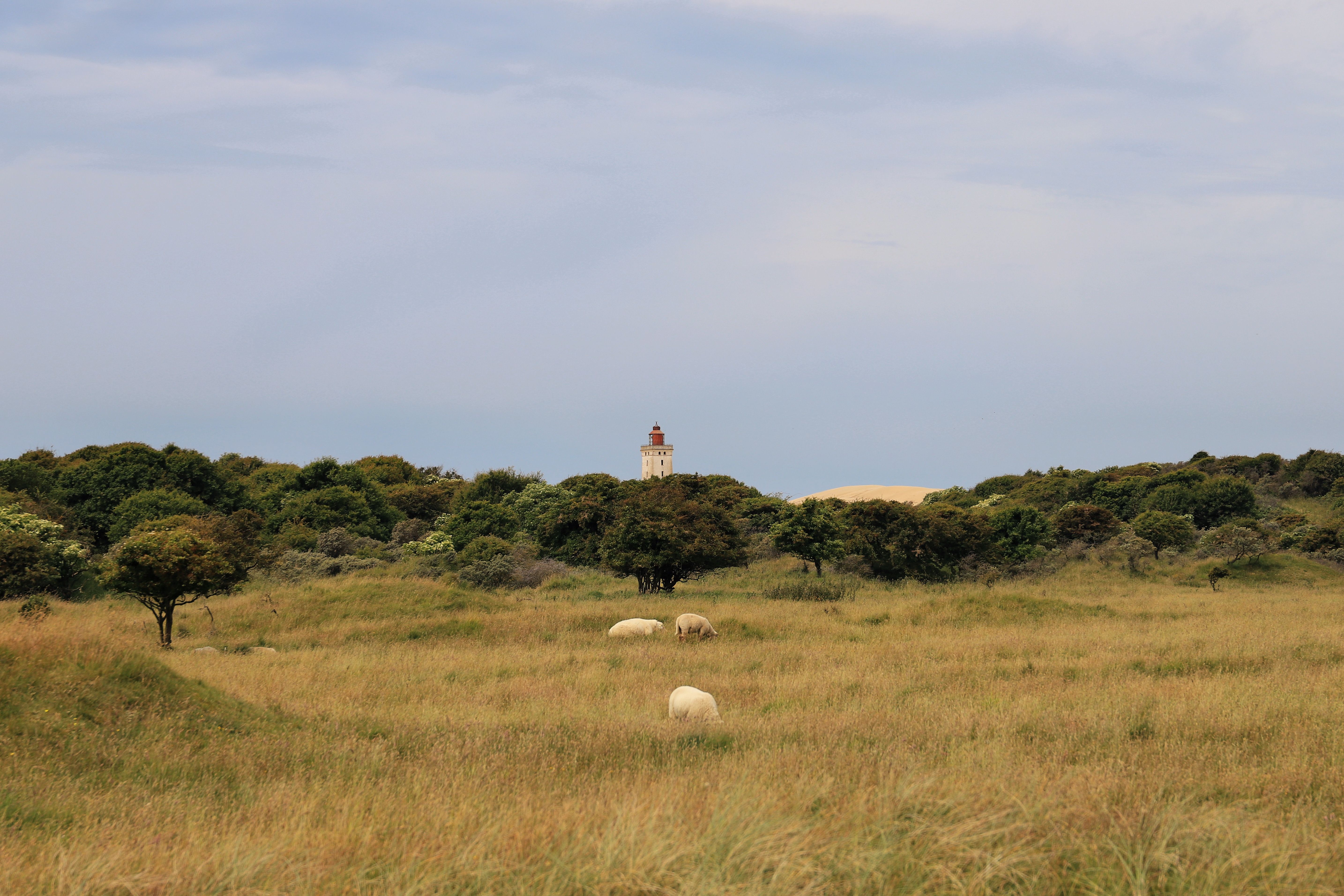 Sandun's Photos, Download The BEST Free Sandun's Stock Photos & HD Images