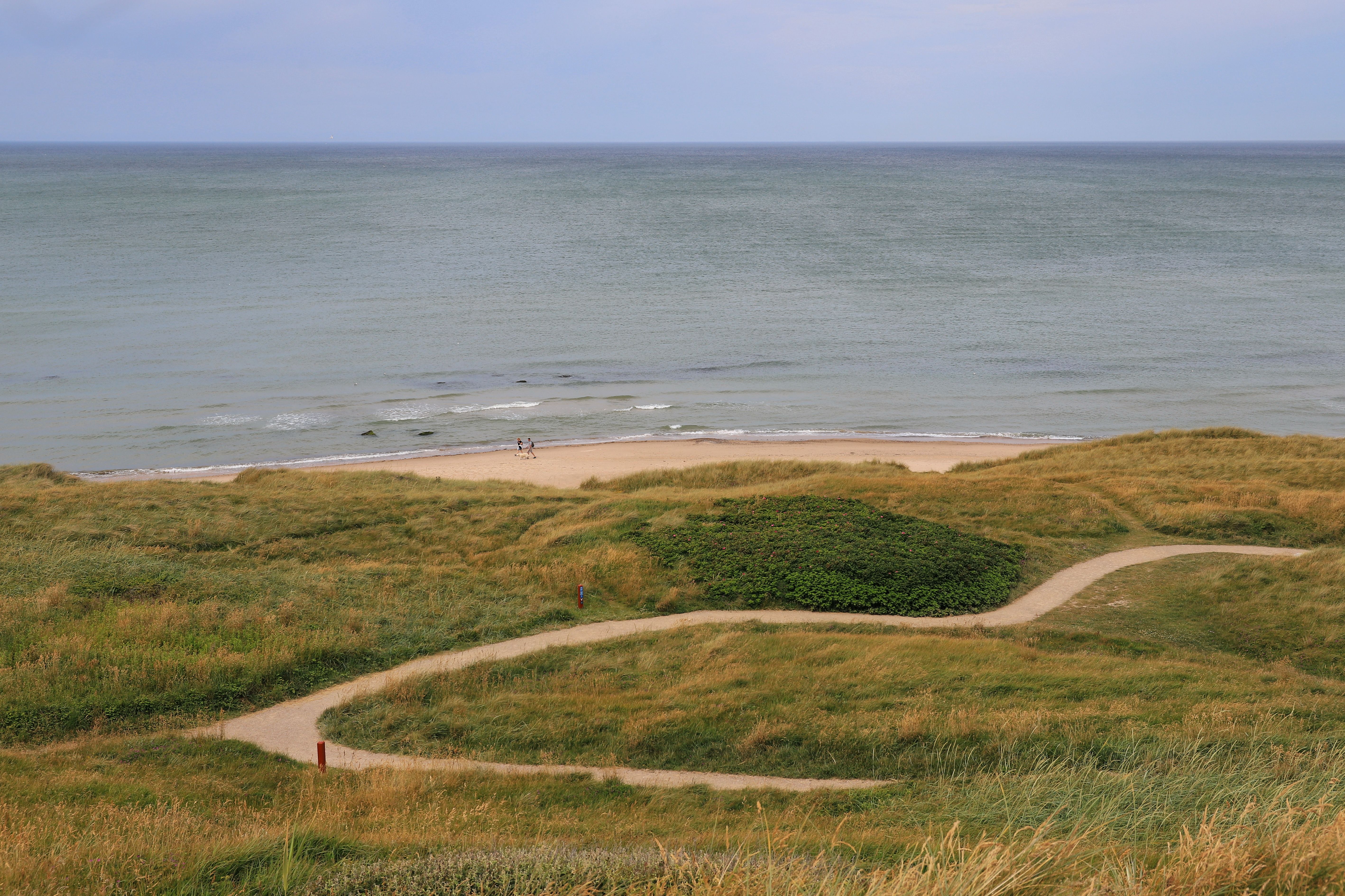 Scenic Danish Beach Path Leading to Ocean · Free Stock Photo