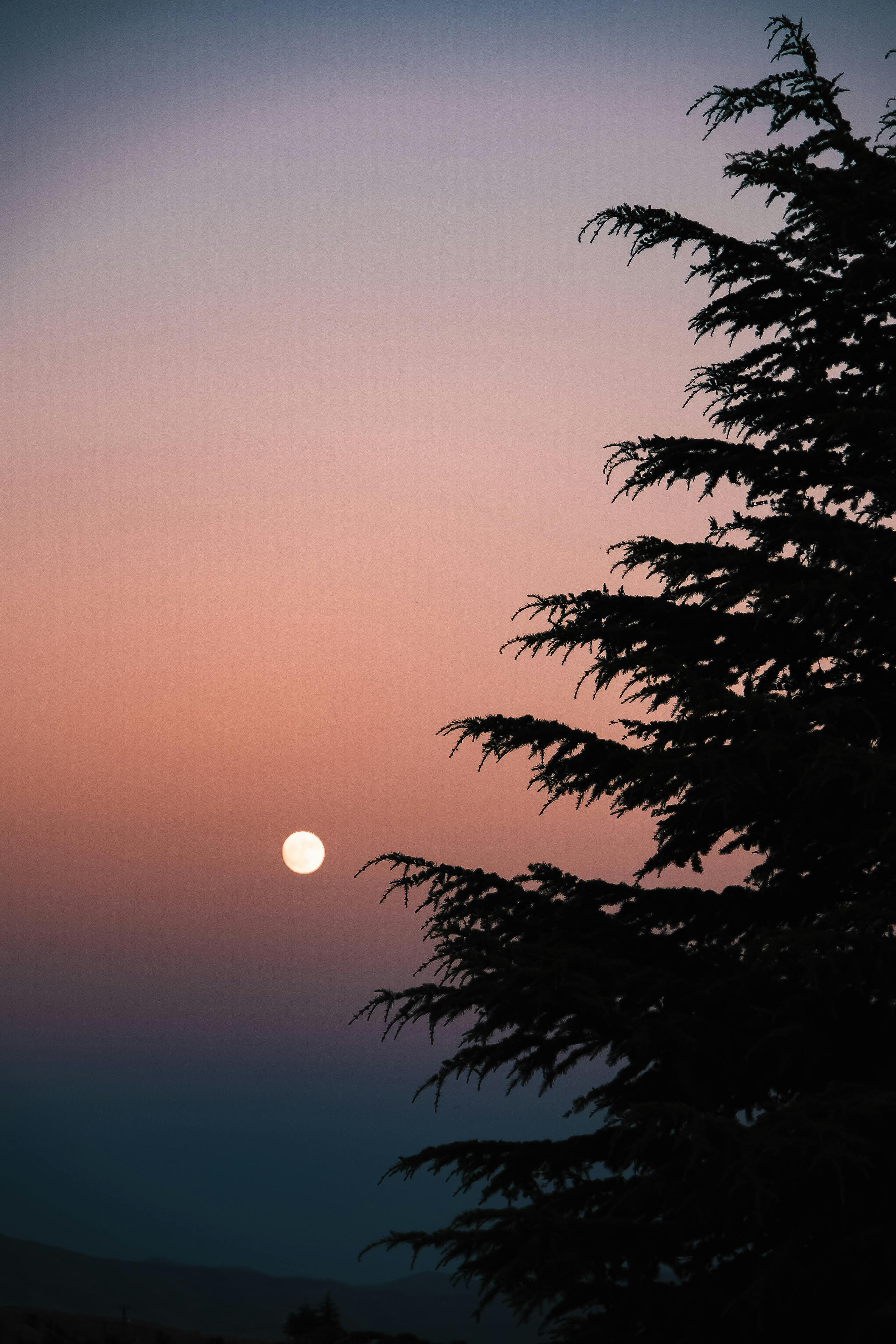 Moon Without Background Photos, Download The BEST Free Moon Without ...