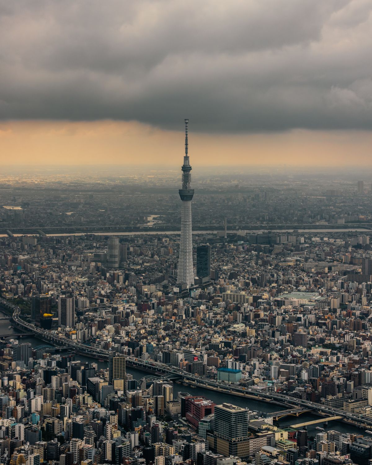 Japan Skyline Photos, Download The BEST Free Japan Skyline Stock Photos ...