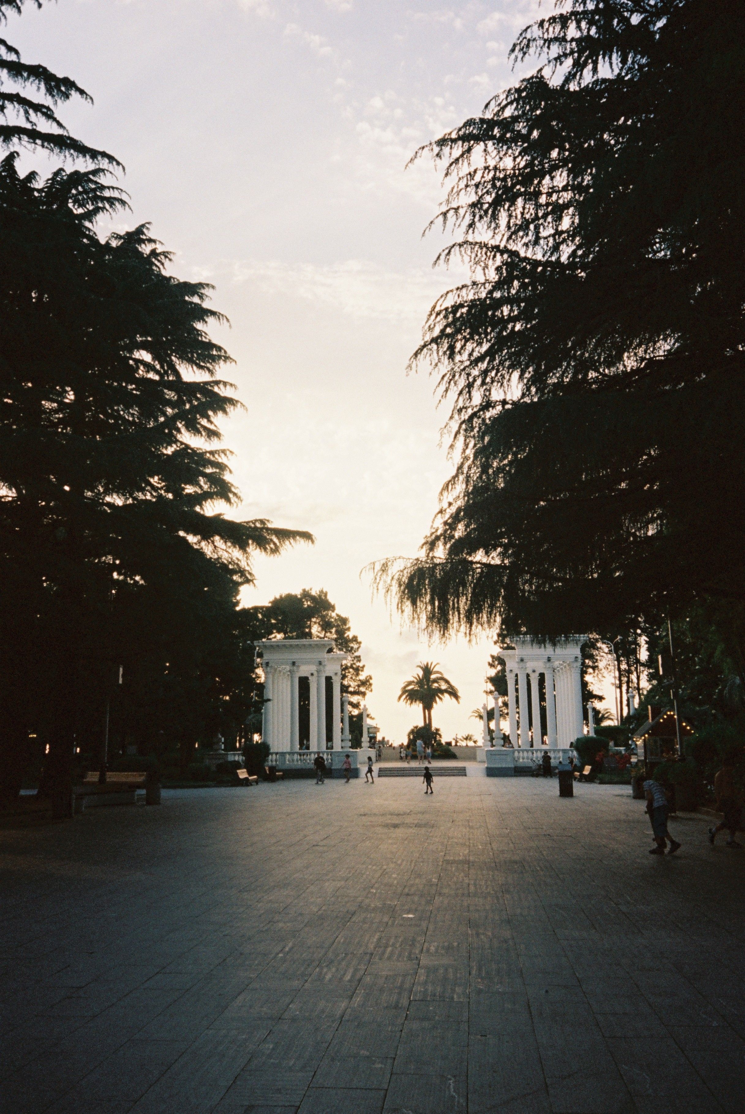 Gorgeous Sunset Boulevard with Silhouetted Trees · Free Stock Photo