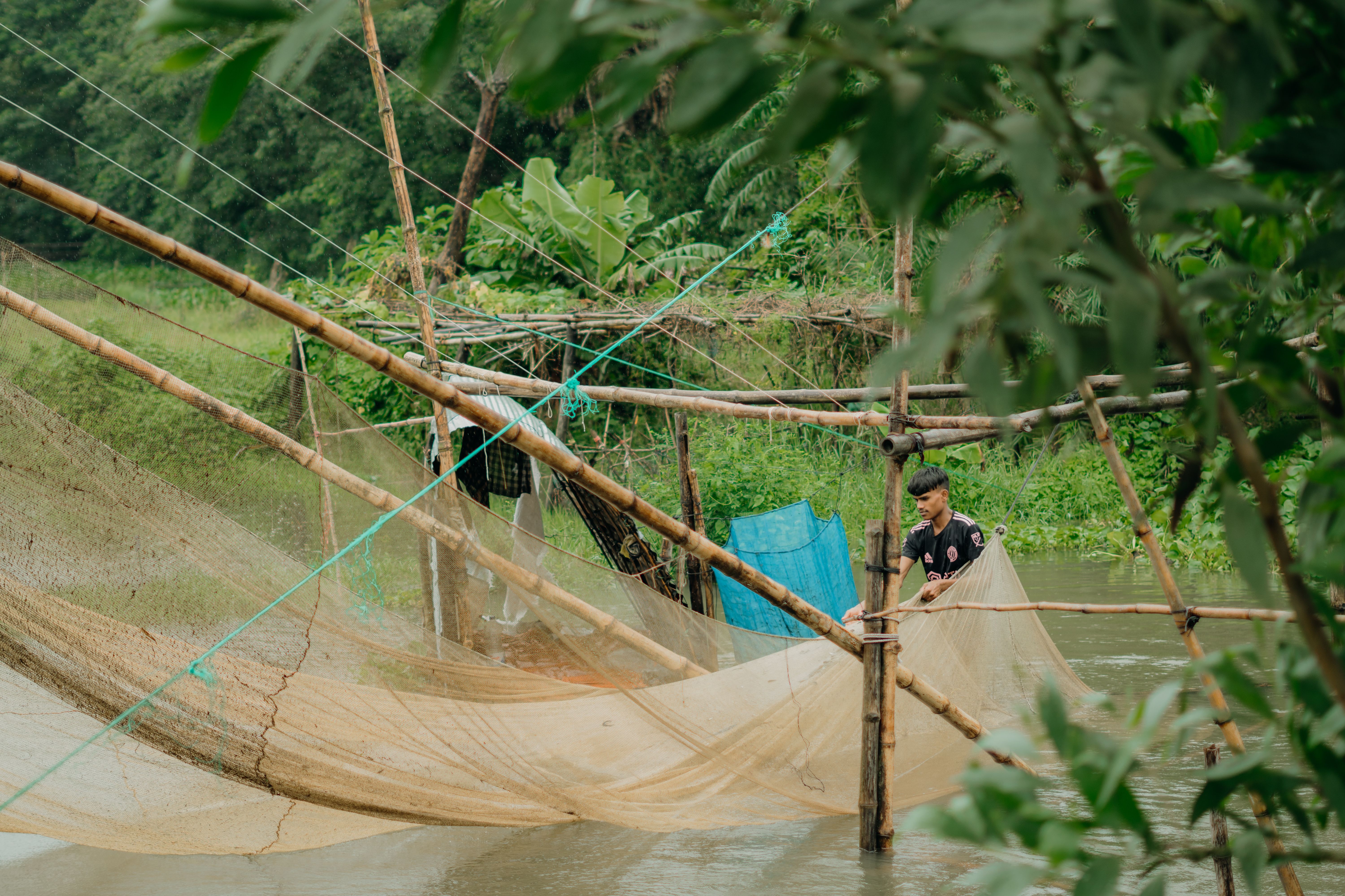 Traditional Fishing with Bamboo Nets in Lush Forest · Free Stock Photo