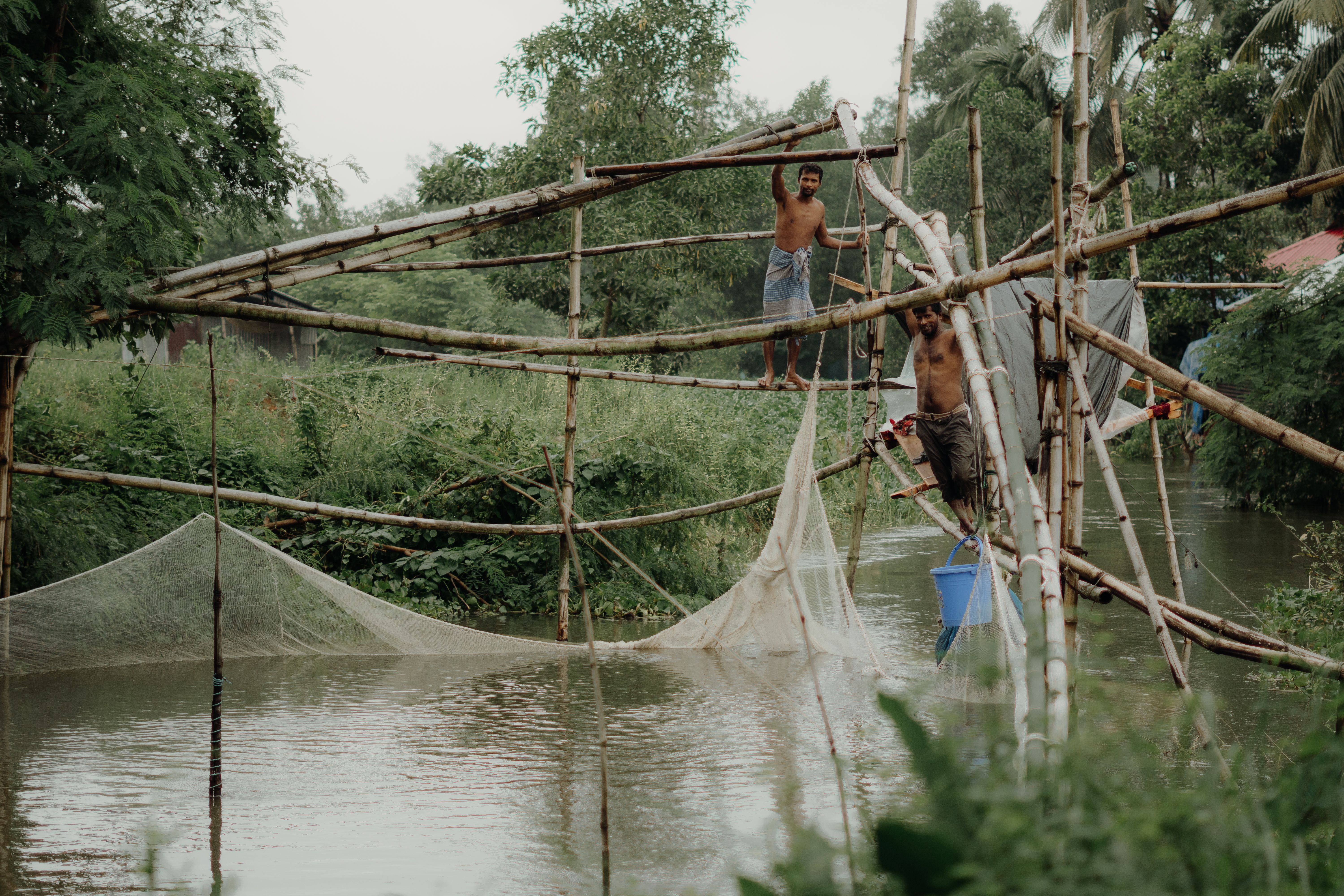 Traditional Bamboo Fishing in a Lush River · Free Stock Photo