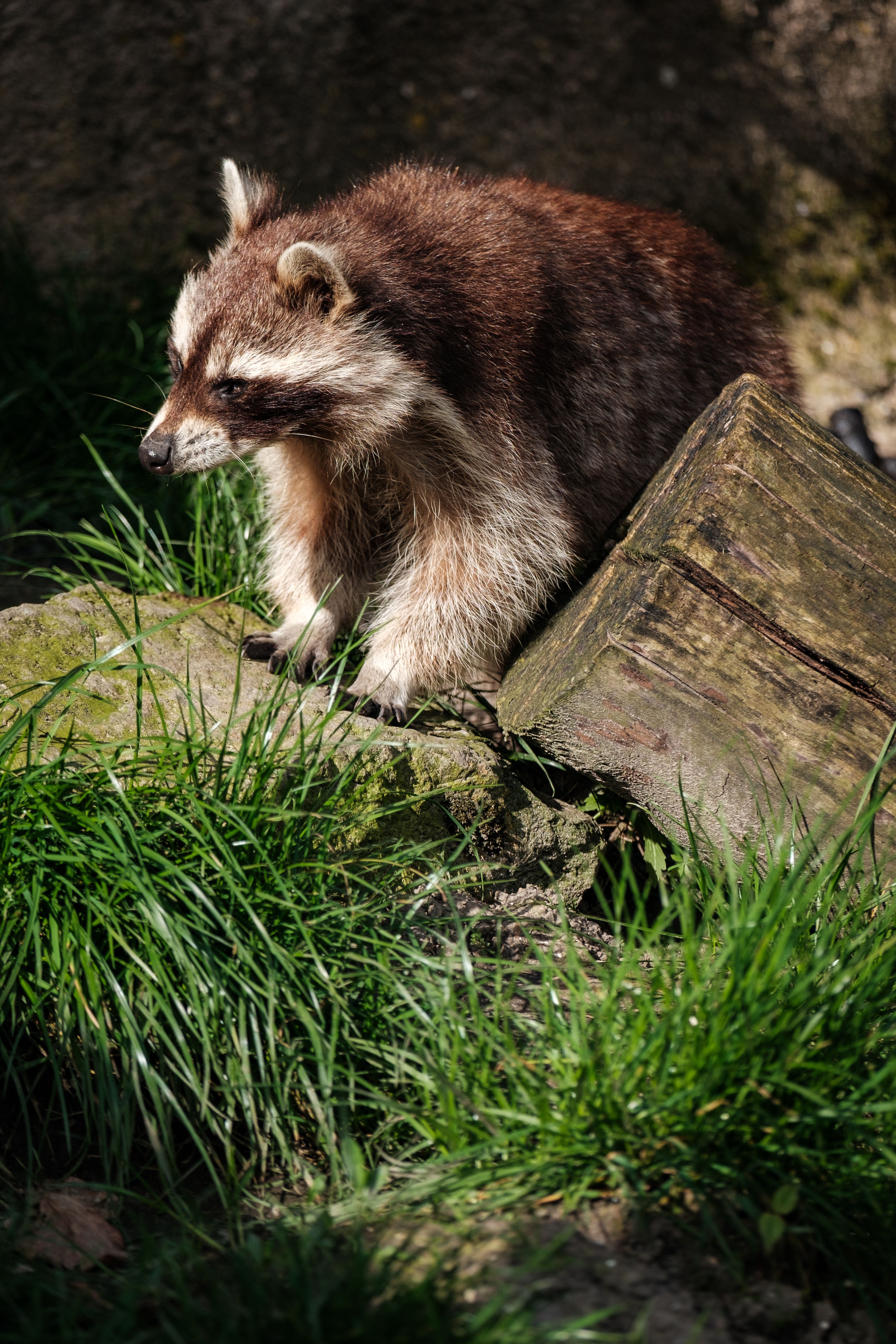 Alert In Stoks Photos, Download The BEST Free Alert In Stoks Stock ...