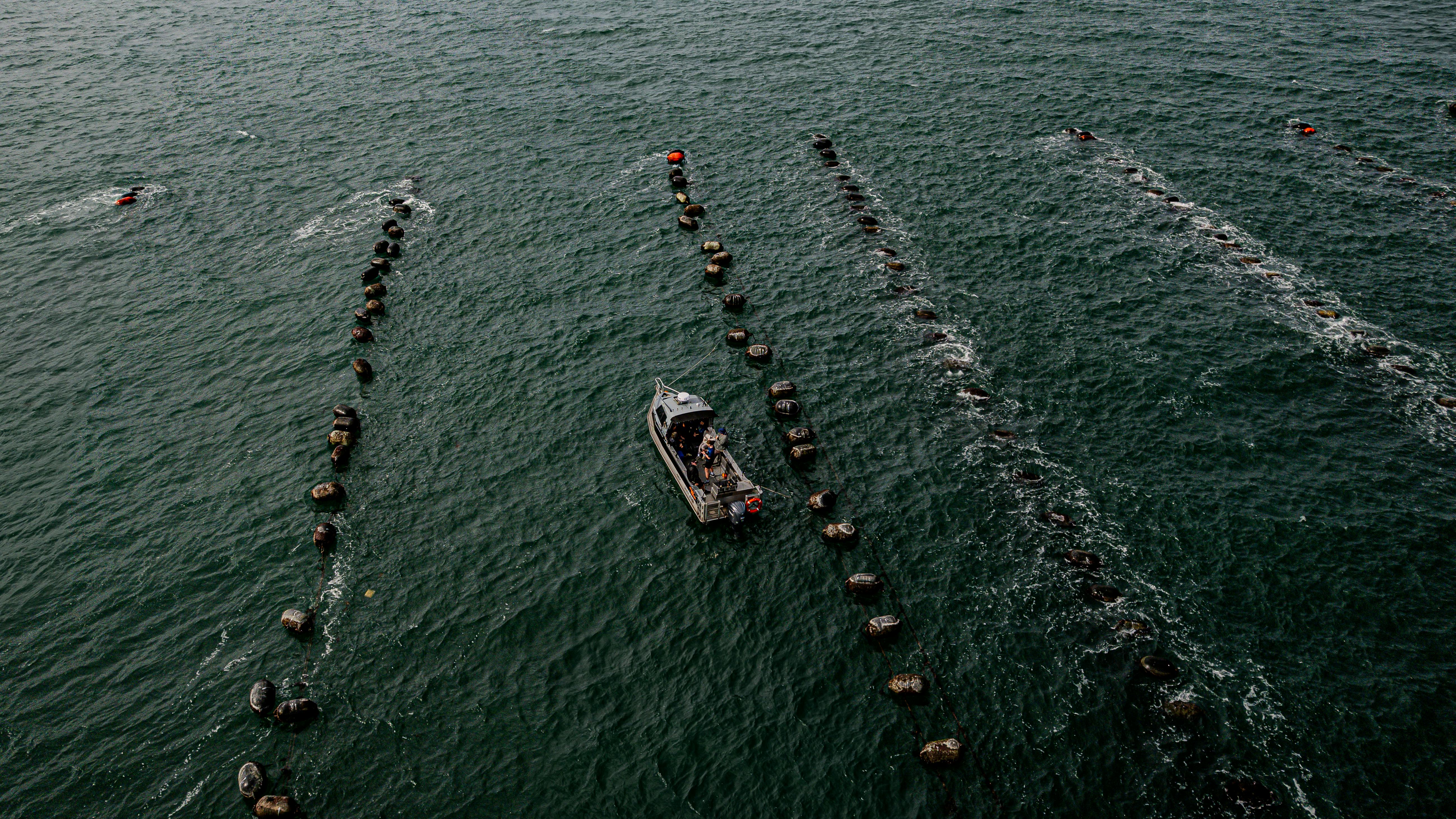 Aerial View of Boat Near Oyster Farm Racks in Ocean · Free Stock Photo