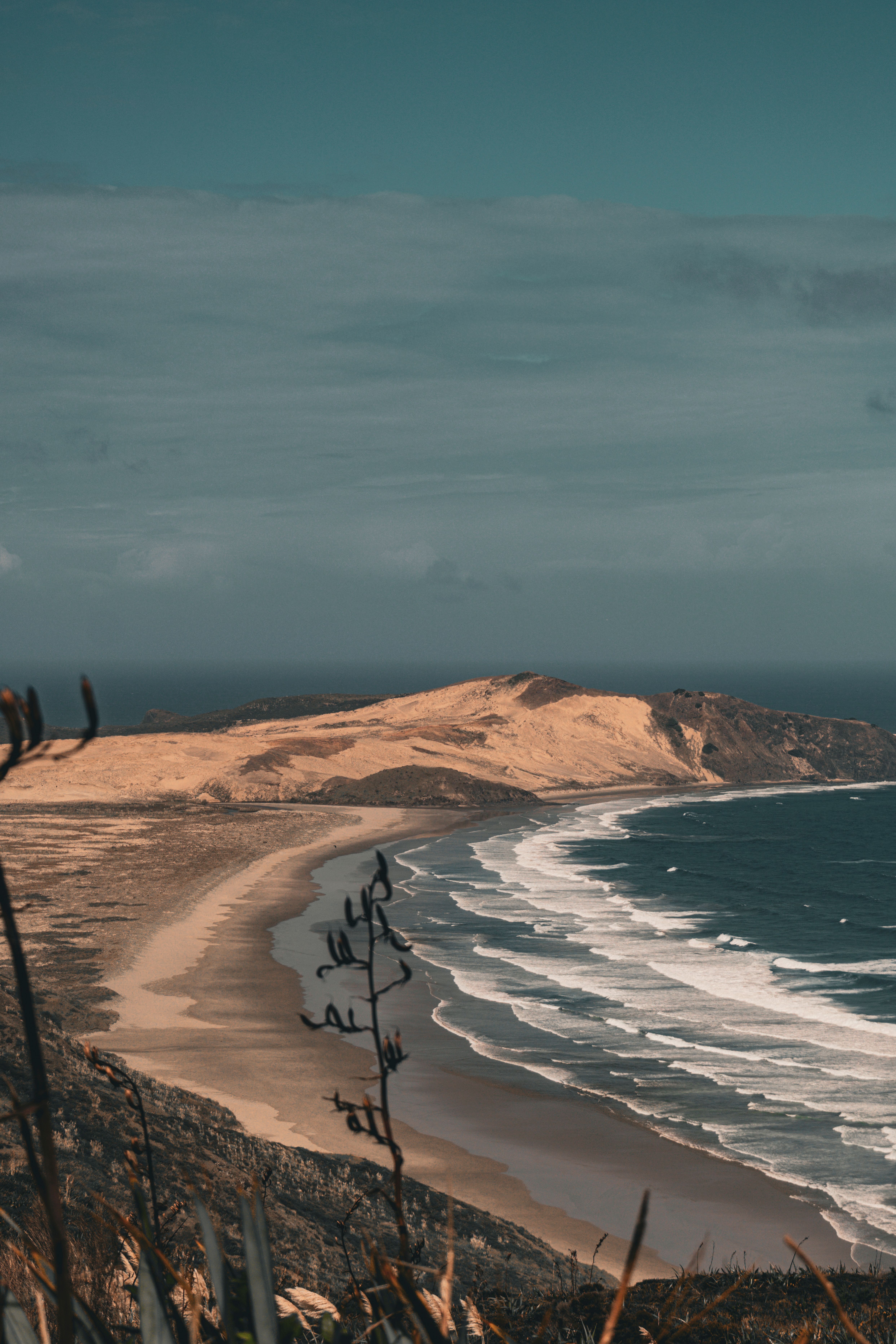 Scenic Coastal View of Cape Reinga in New Zealand · Free Stock Photo
