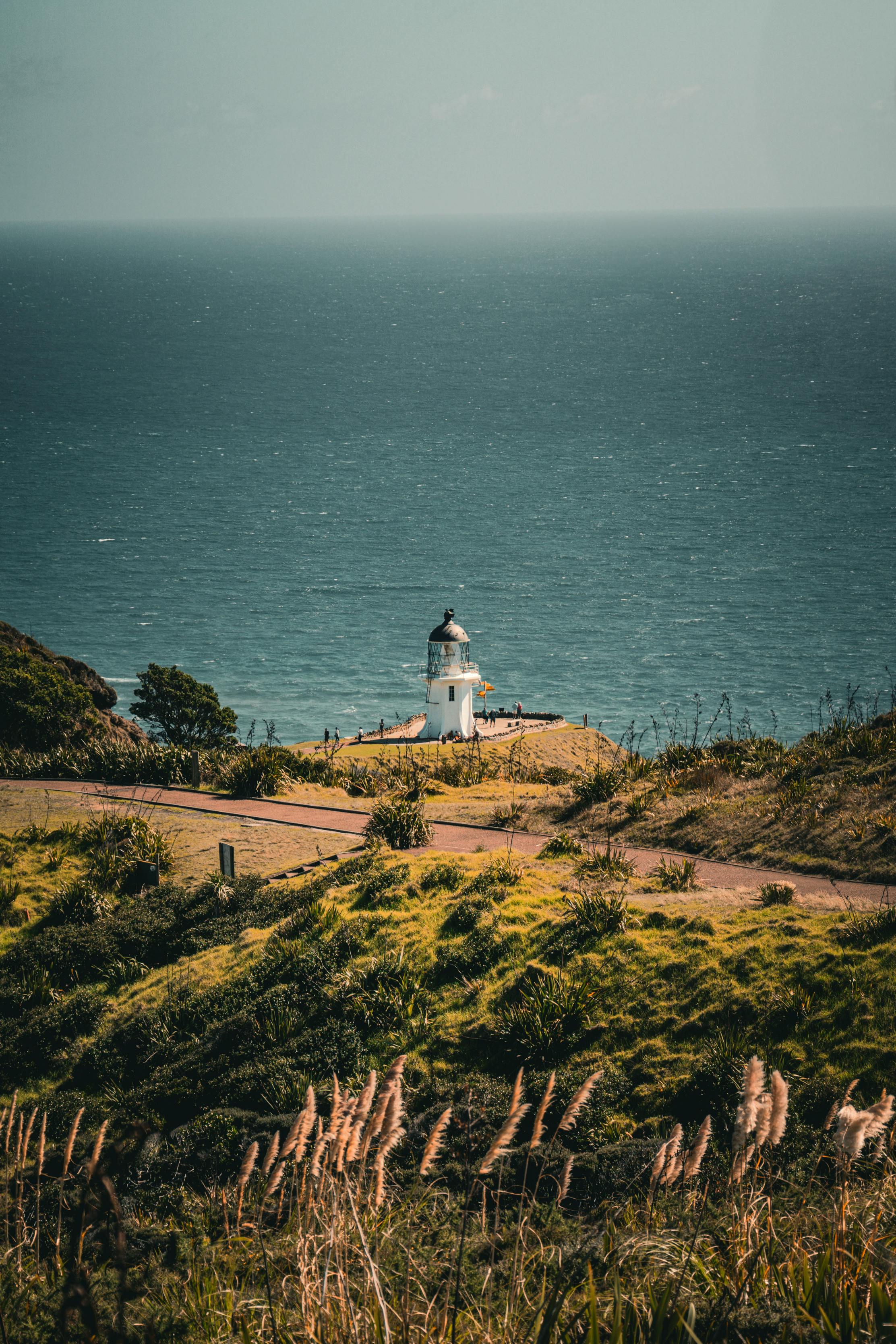 Watchhhh+Te Photos, Download The BEST Free Watchhhh+Te Stock Photos ...