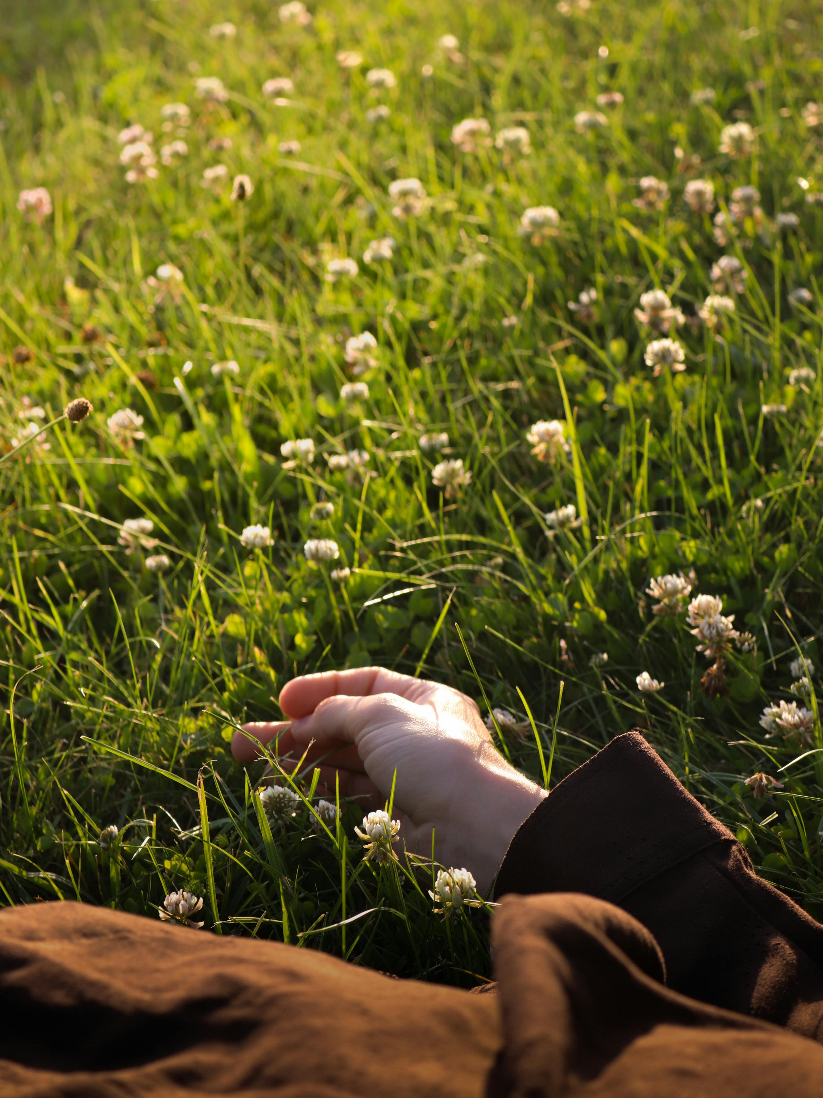 Harmonious Photos, Download The BEST Free Harmonious Stock Photos & HD ...