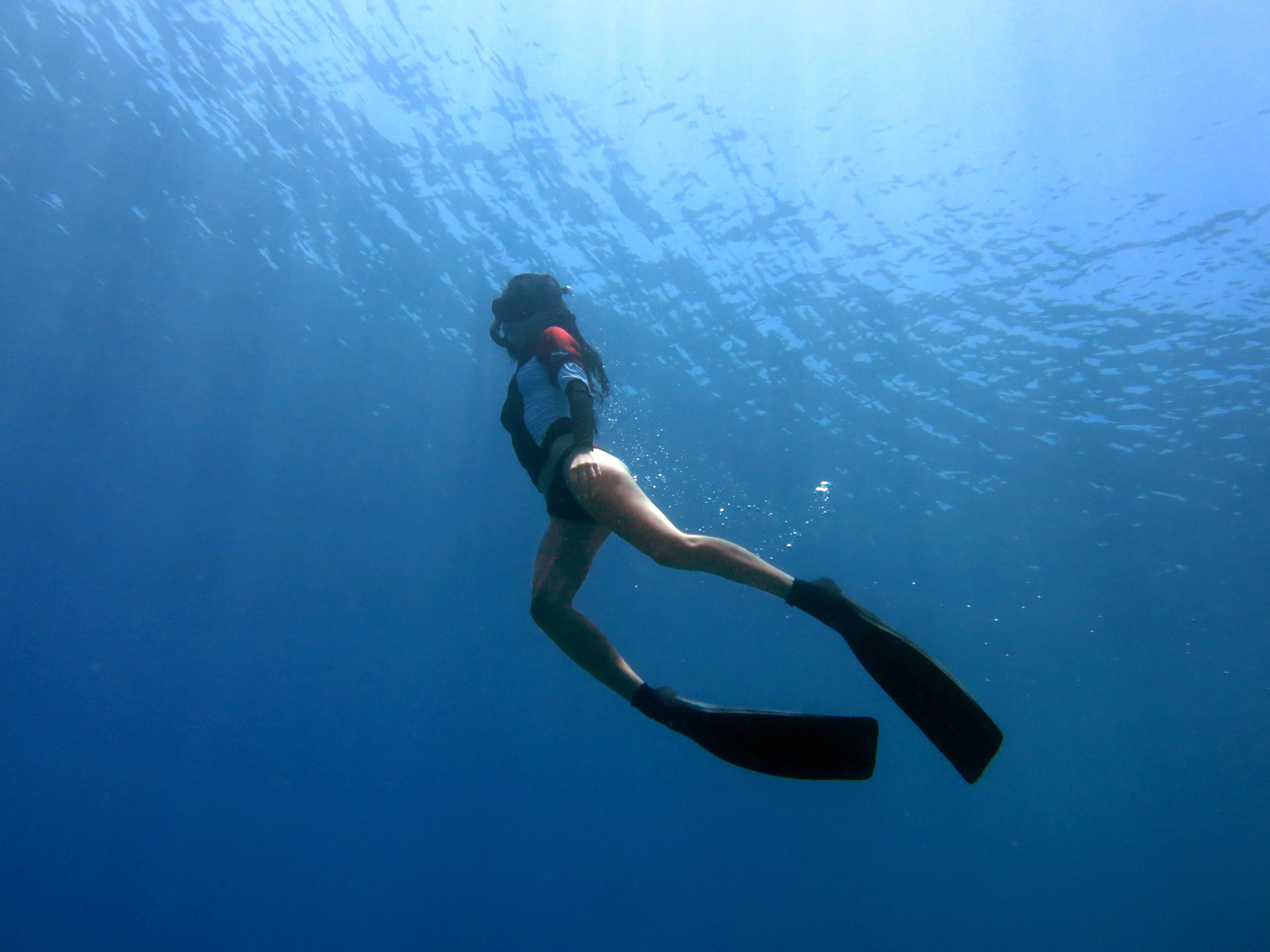 Diver Istasyonu Photos, Download The BEST Free Diver Istasyonu Stock ...