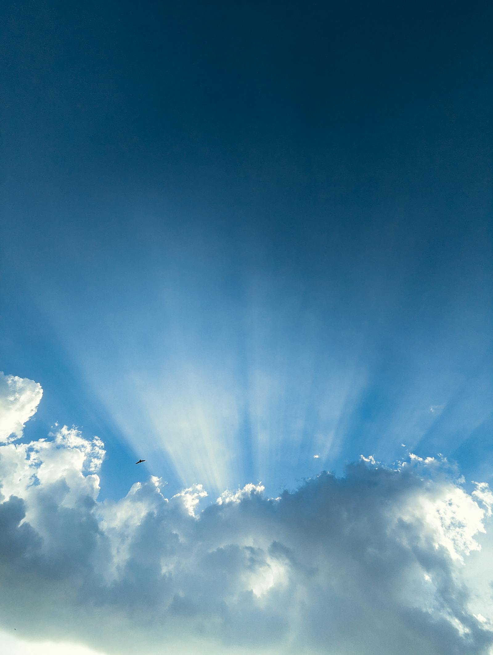 Sky Background Badal Photos, Download The BEST Free Sky Background ...