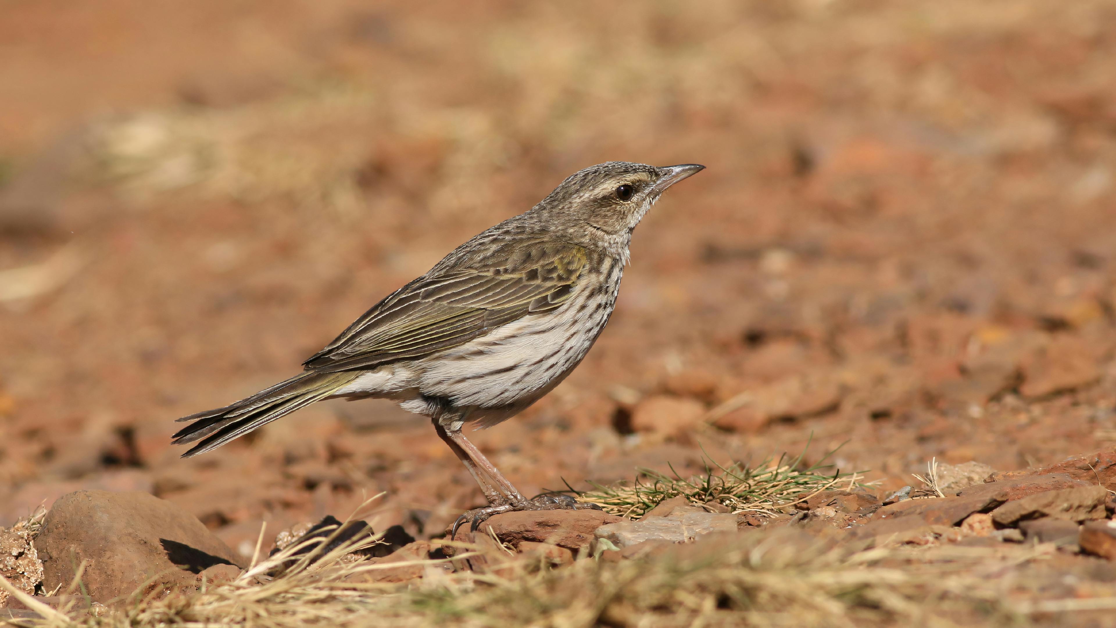 A legjobb 600 000+ Lispw Point&qs=n&form=qbre&sp=-1&ghc=1&lq=0&pq=view ...