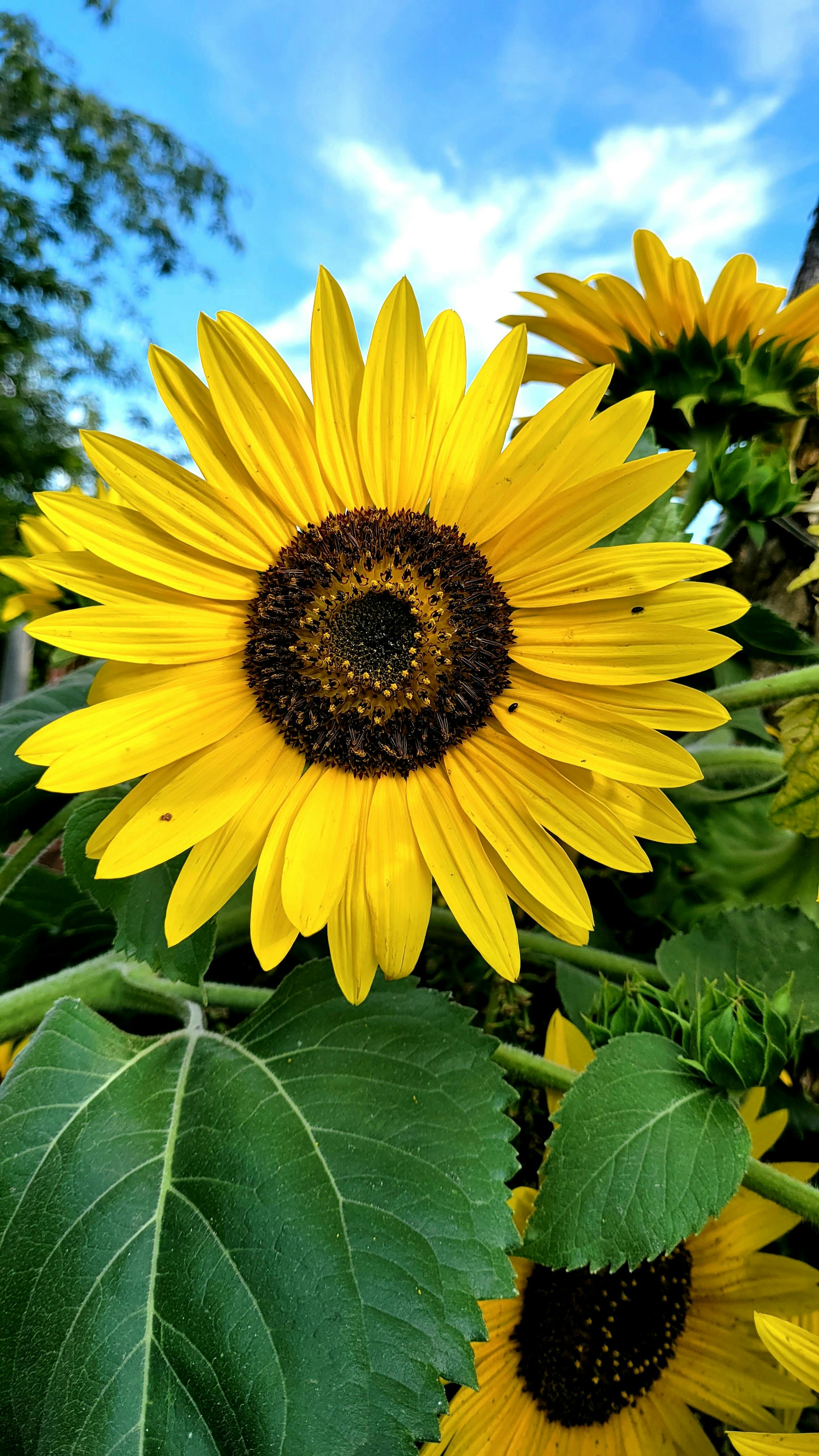 Vibrant Color Photos, Download The BEST Free Vibrant Color Stock Photos ...