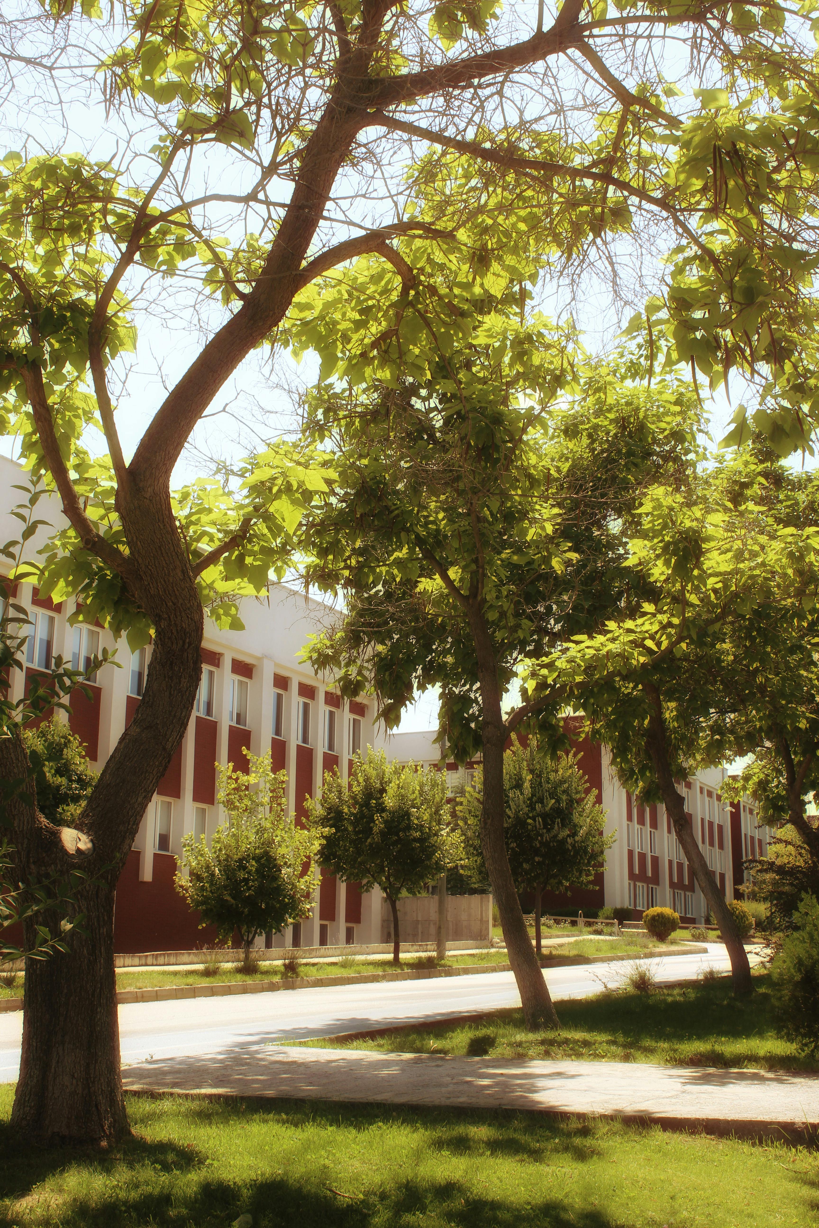 Conducive School Environment And School Campus Photos, Download The ...