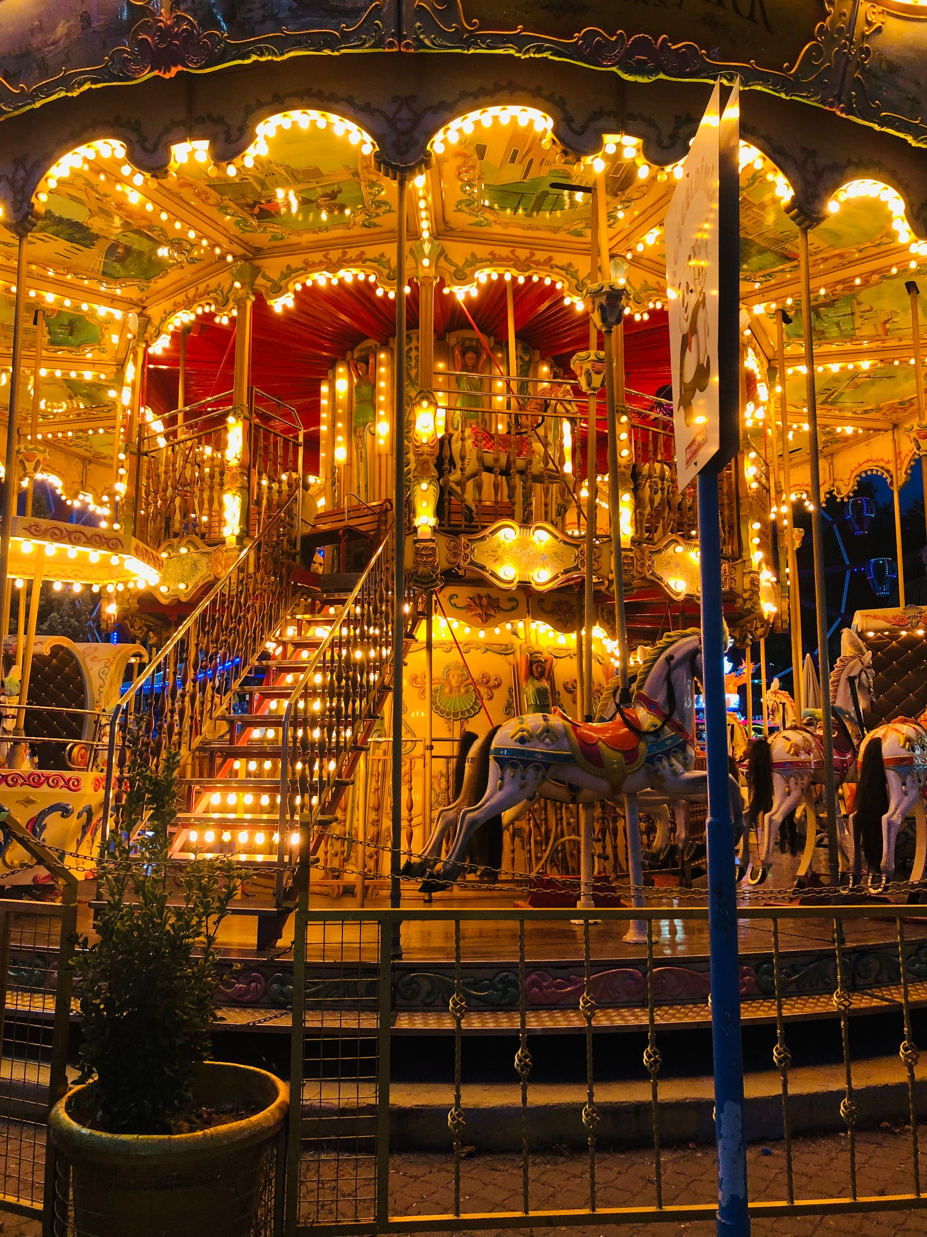 Horse At Night Photos, Download The BEST Free Horse At Night Stock ...