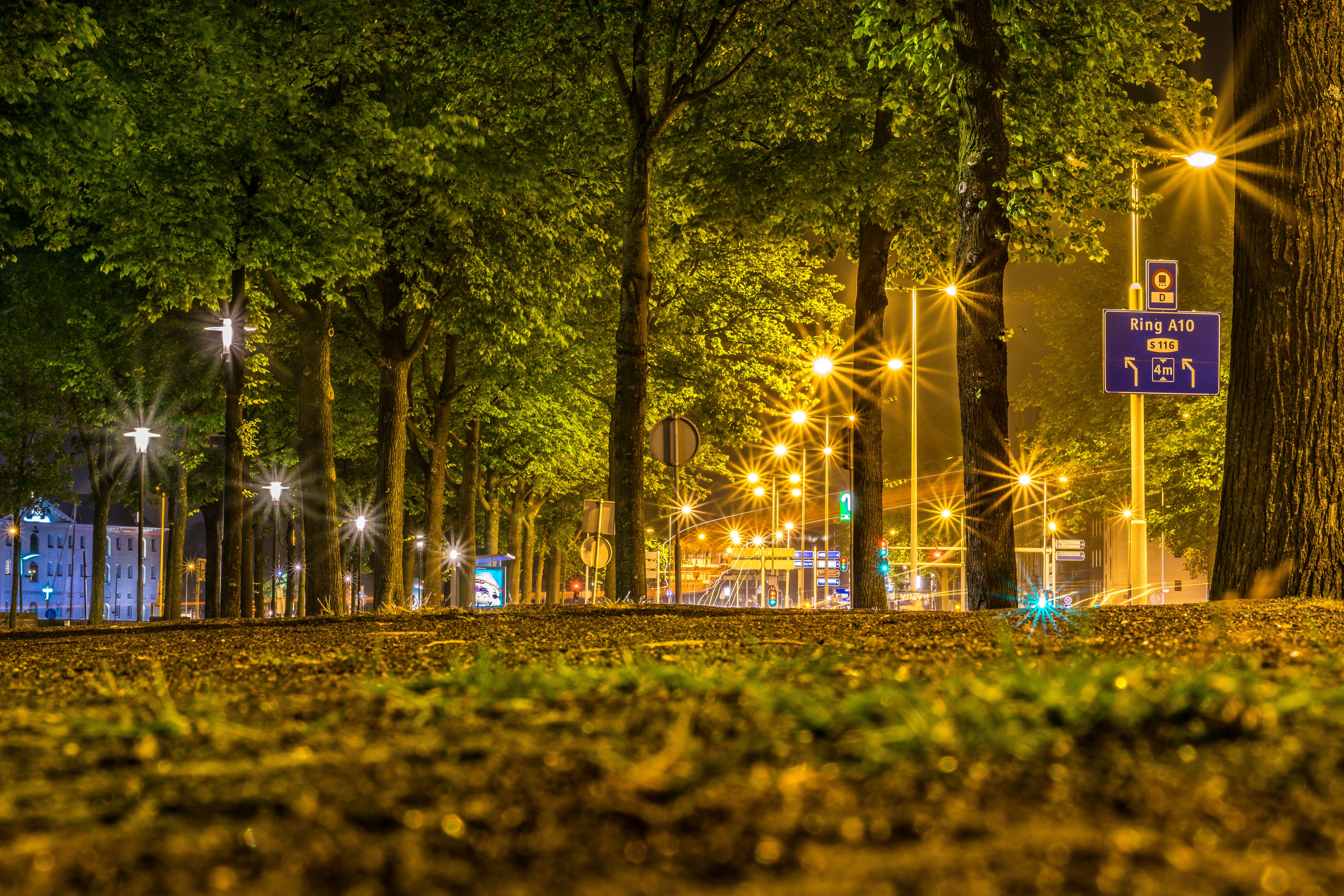 Scenic Night View of Amsterdam's Ring A10 Road · Free Stock Photo