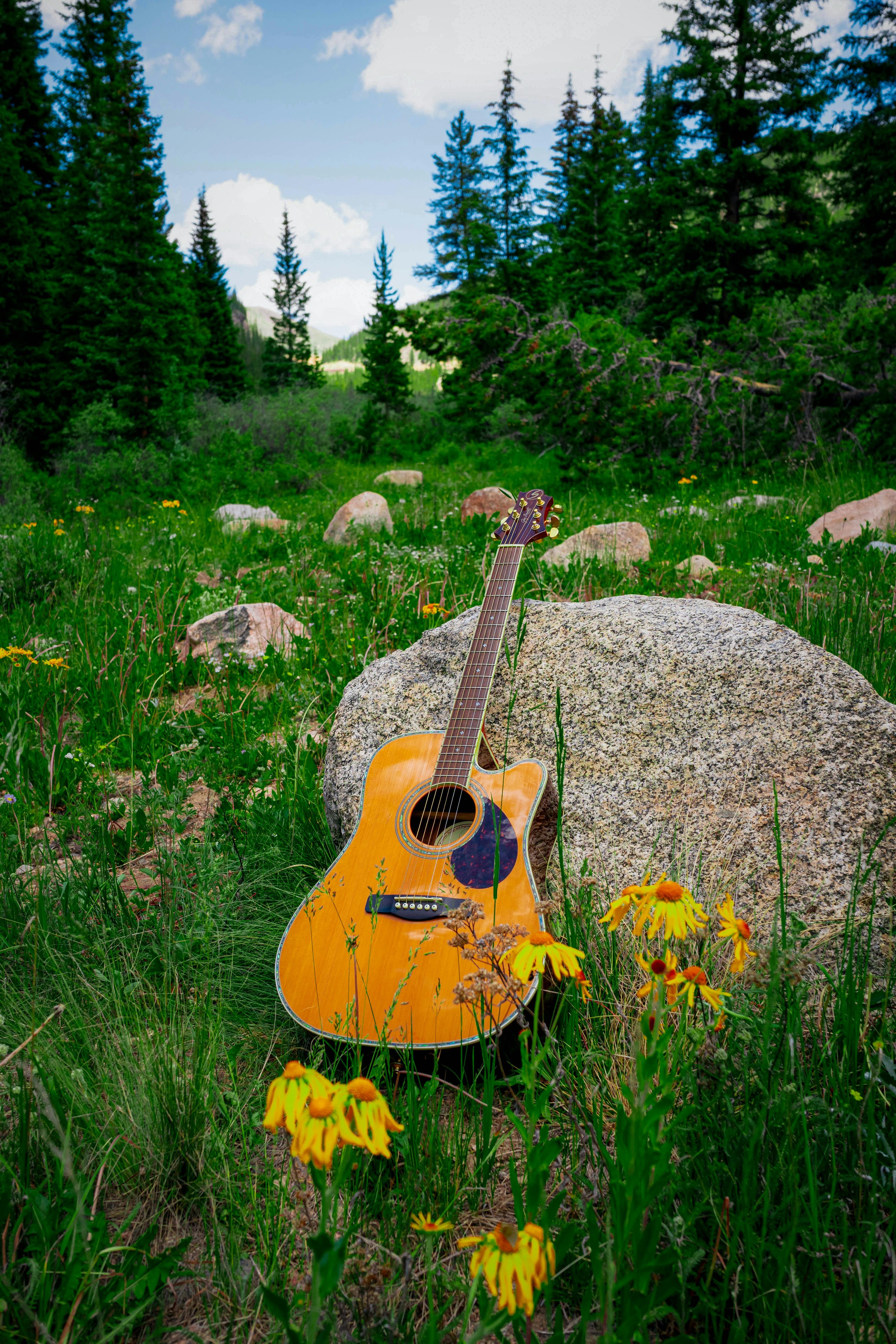 Guitar Images Photos, Download The BEST Free Guitar Images Stock Photos ...