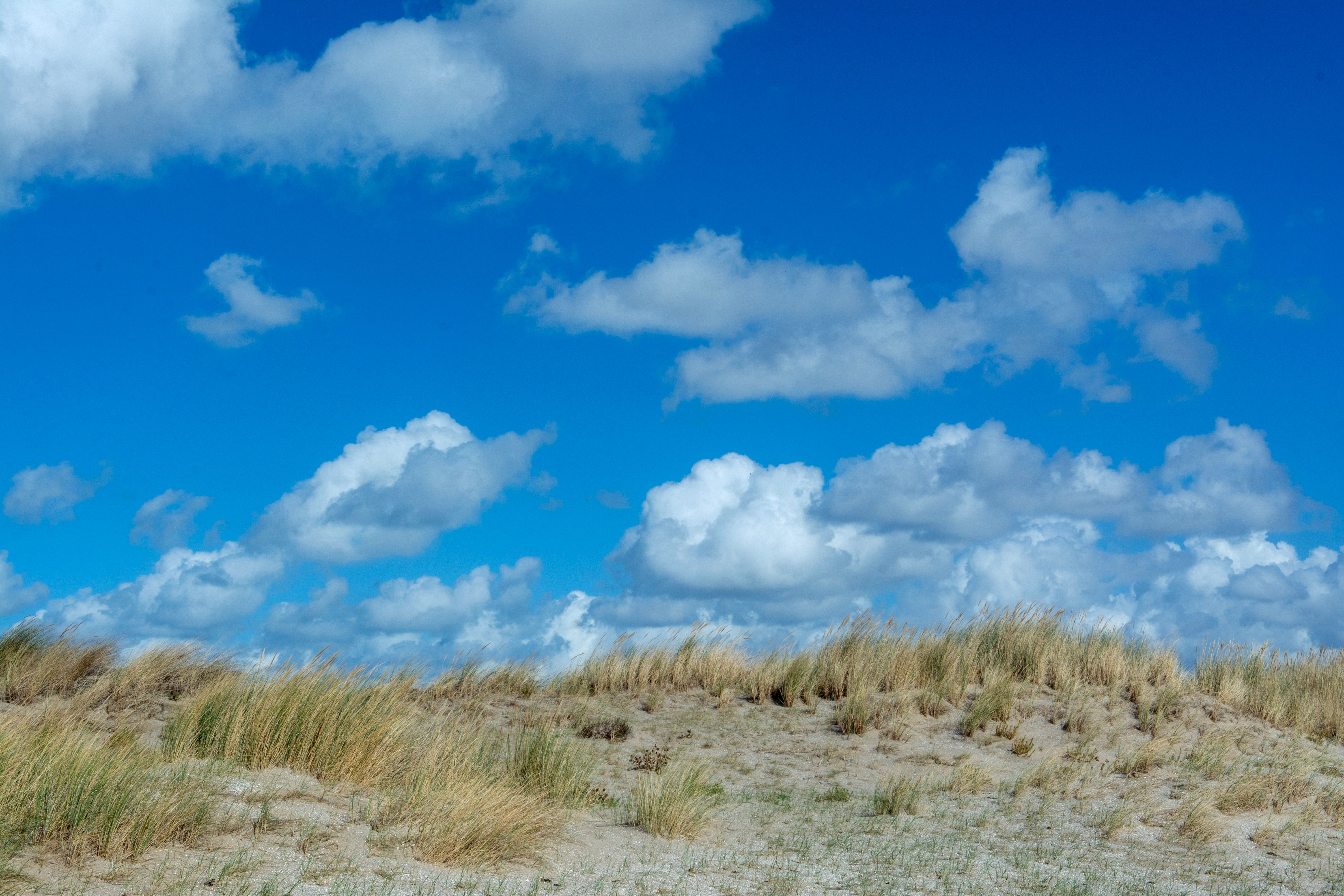 Clear Blue Sky Over Sandy Dunes Landscape · Free Stock Photo