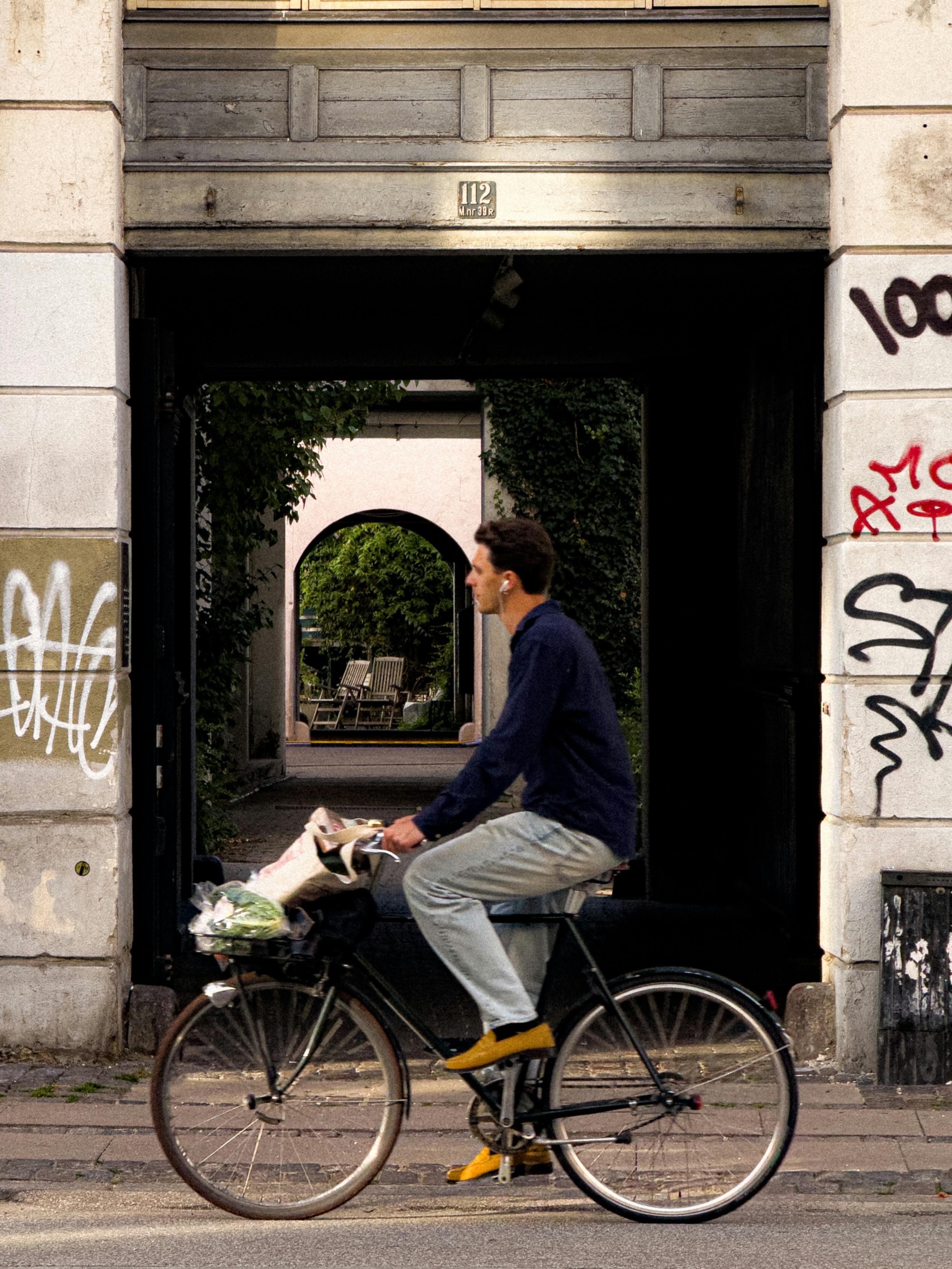 Zizen Pets Photos, Download The BEST Free Zizen Pets Stock Photos & HD ...