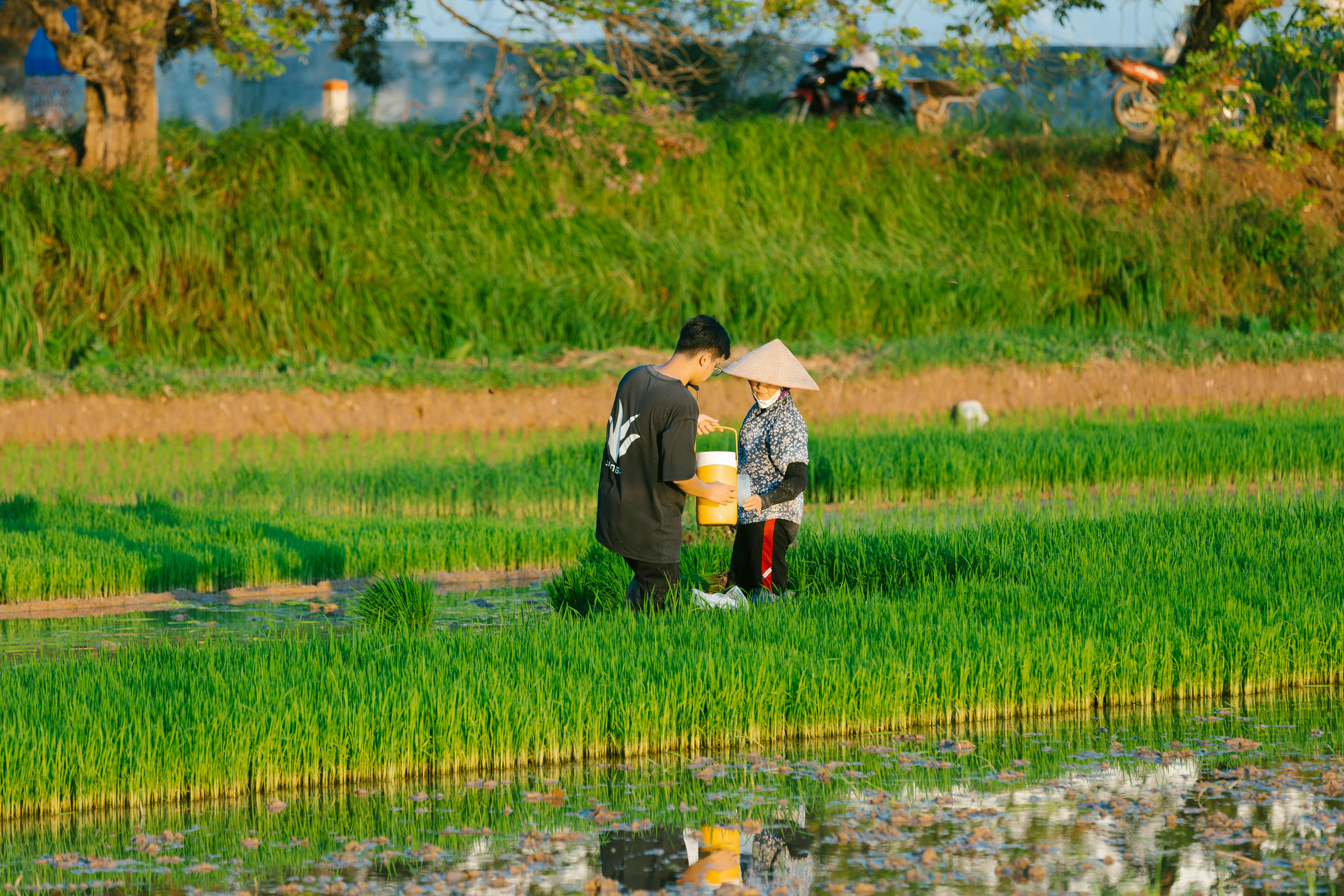 Teach Farming Photos, Download The BEST Free Teach Farming Stock Photos ...