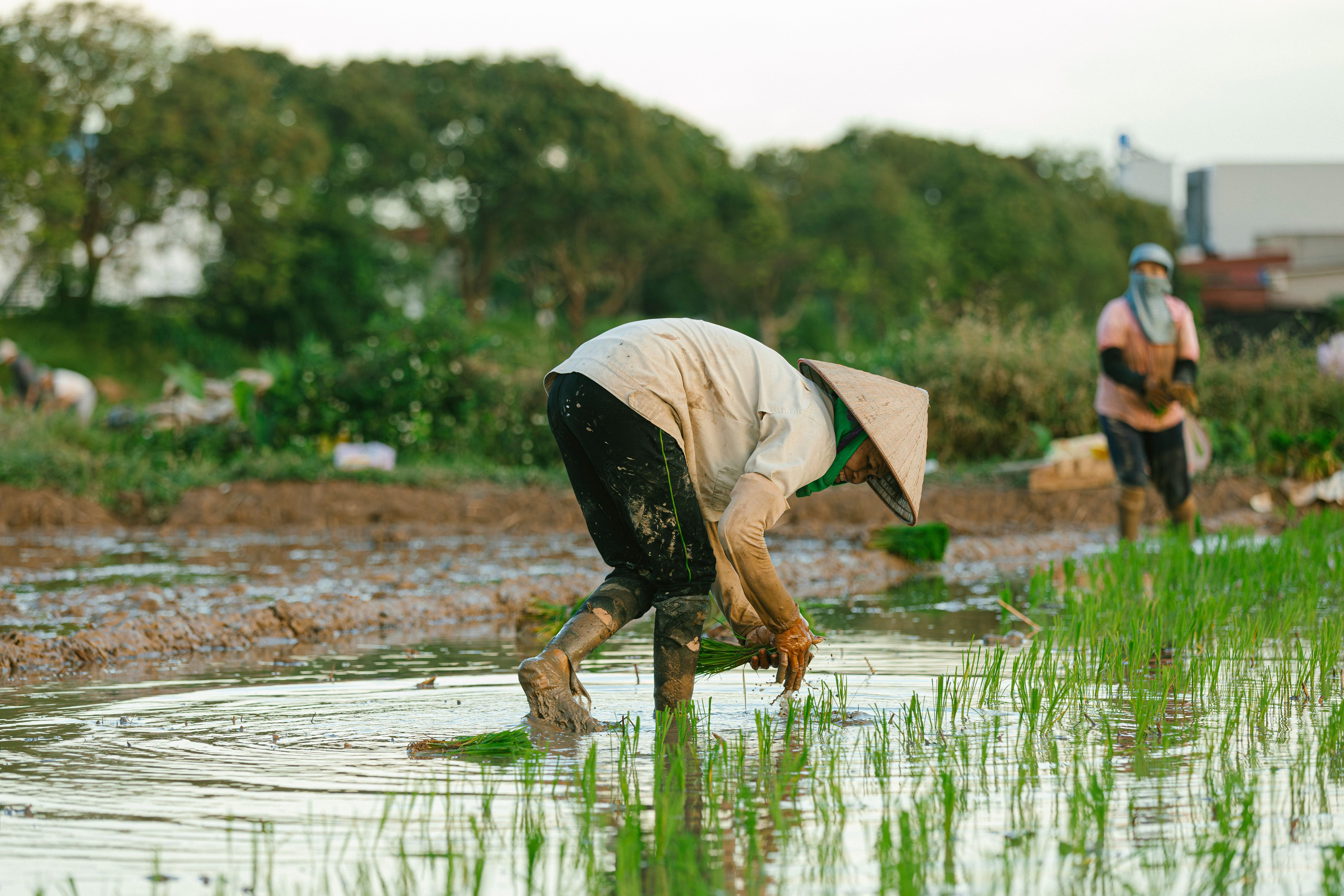People Doing Farming · Free Stock Photo