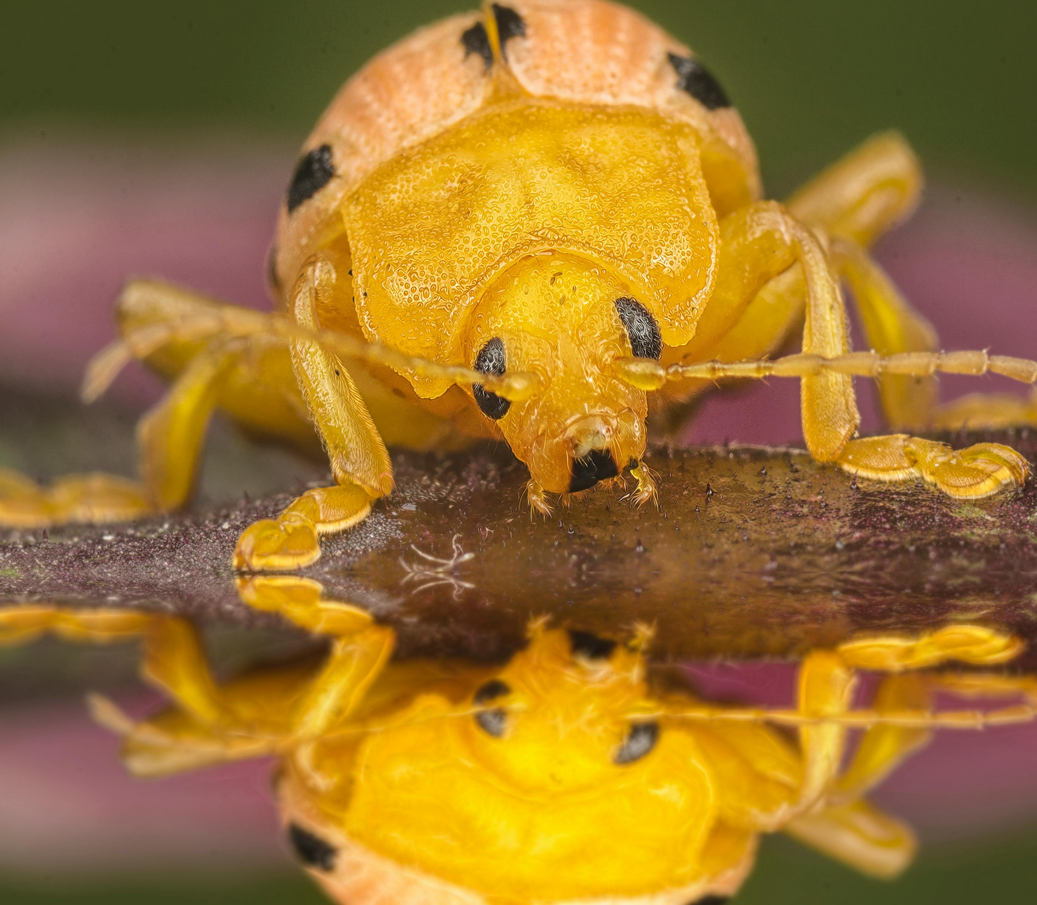 Surdas+Images Photos, Download The BEST Free Surdas+Images Stock Photos ...