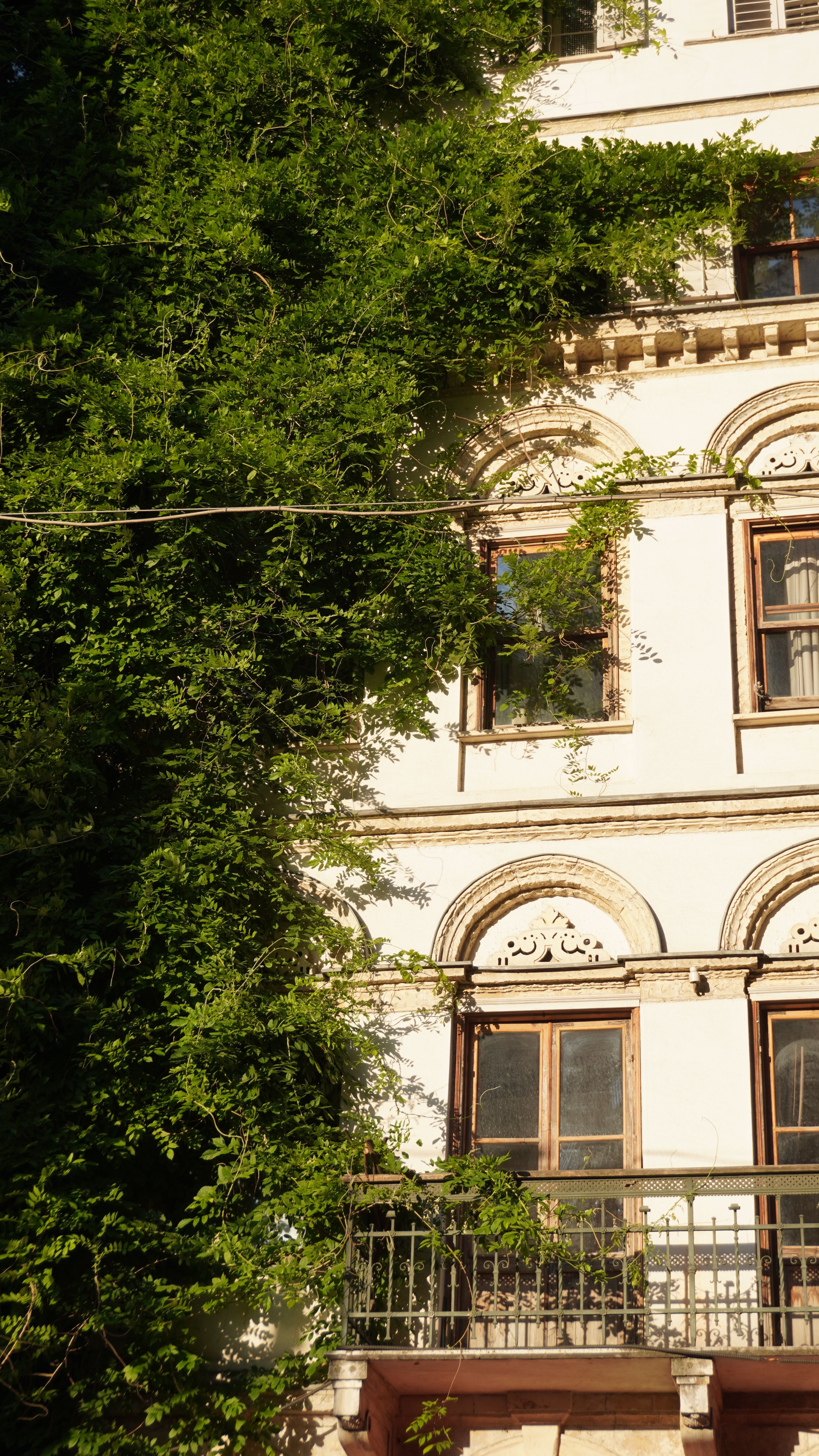 Historic Building with Ivy in Afternoon Light · Free Stock Photo