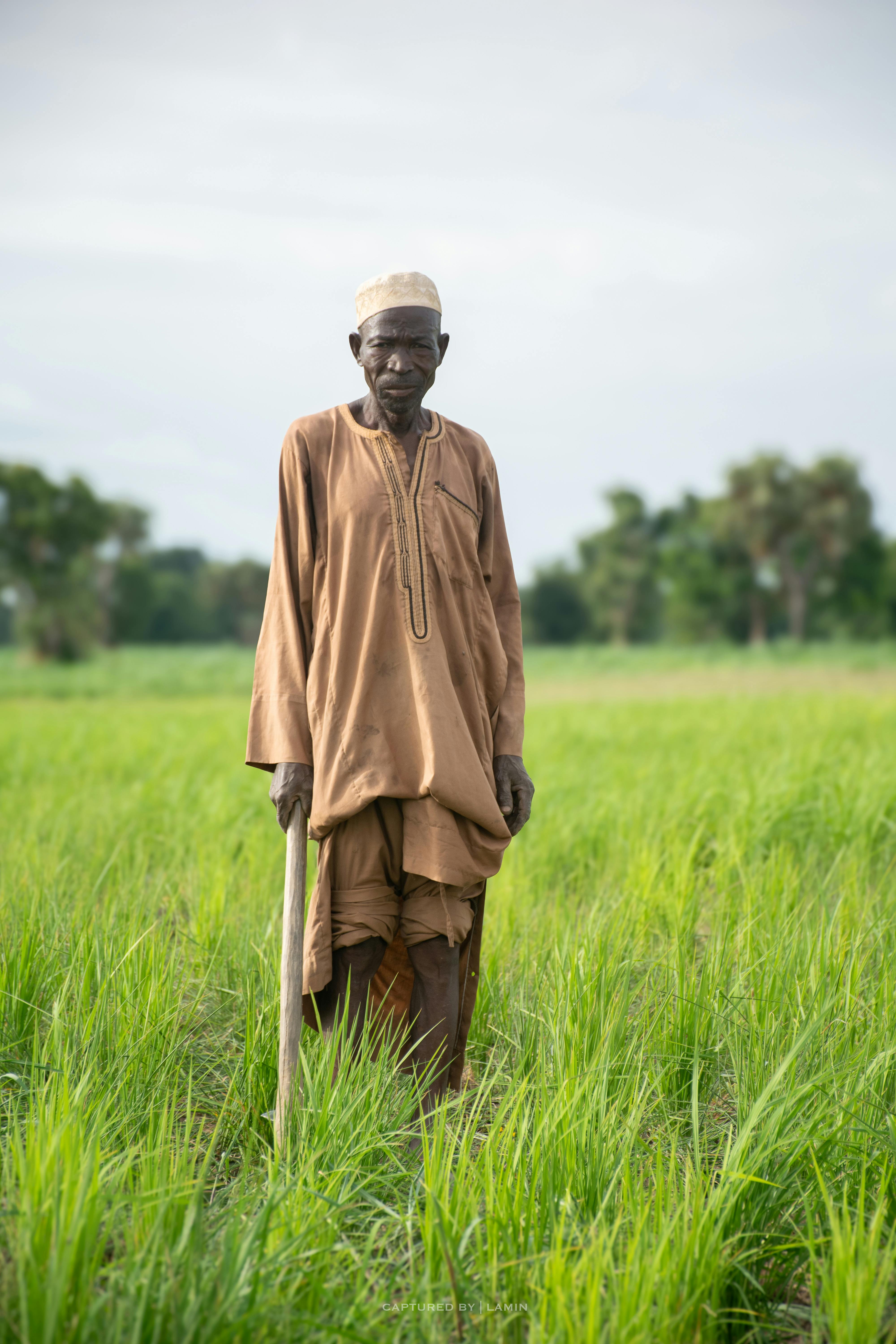 Elderly Farmer in Lush Nigerian Field · Free Stock Photo