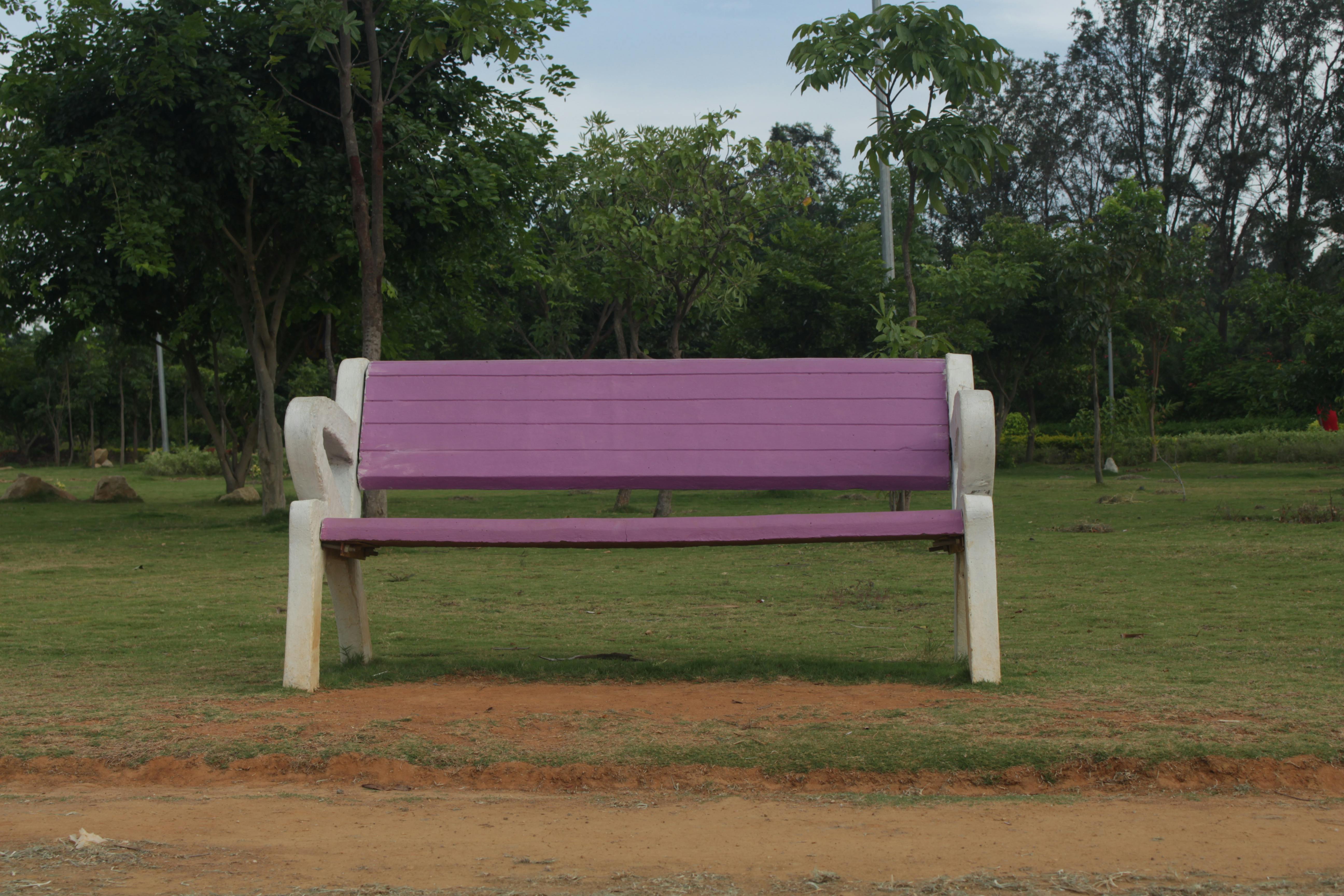 Banco De Parque Morado En Un Entorno De Parque Verde Y Sereno · Foto de ...