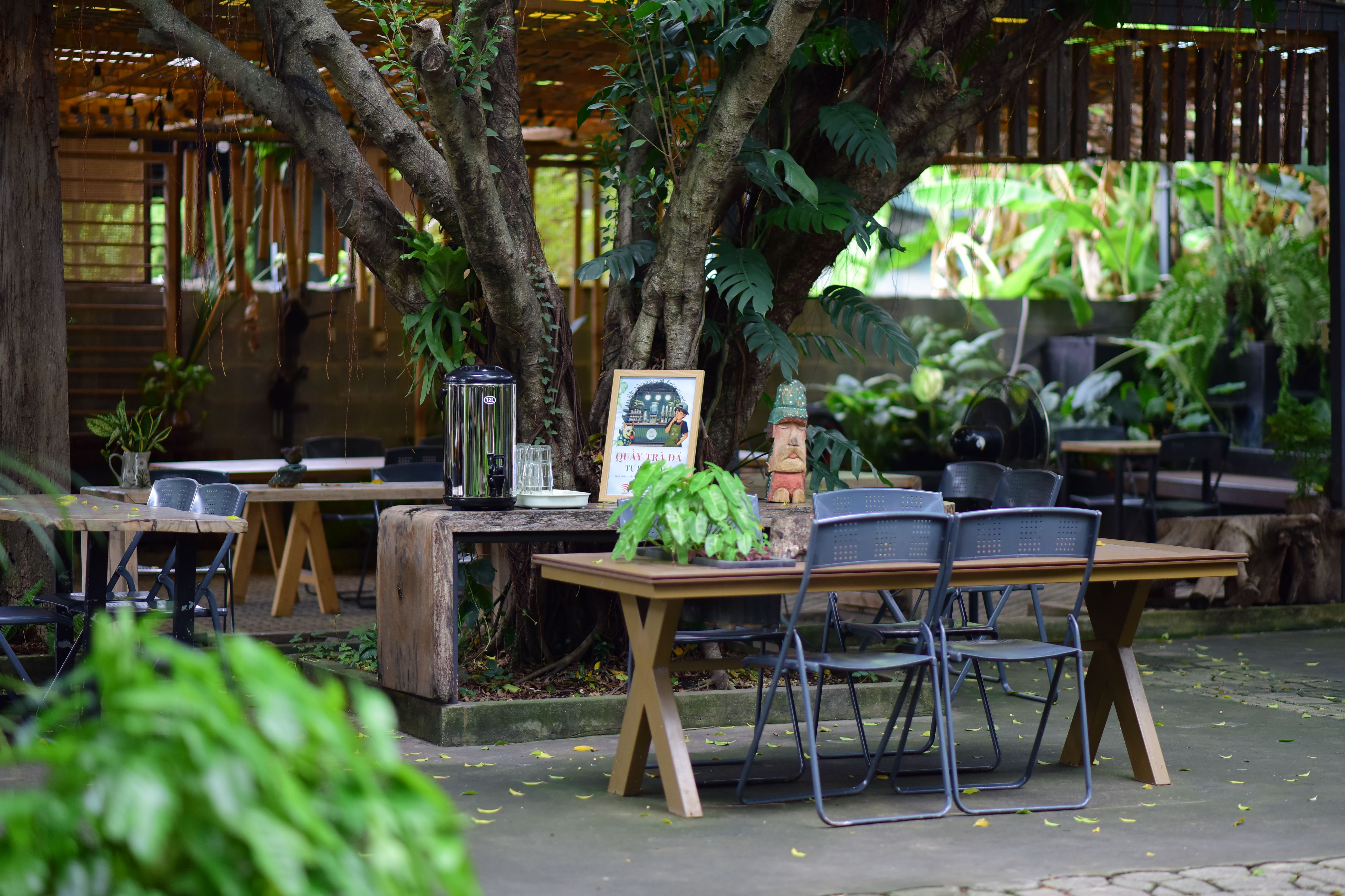 Charming Outdoor Cafe Seating Amongst Lush Trees · Free Stock Photo