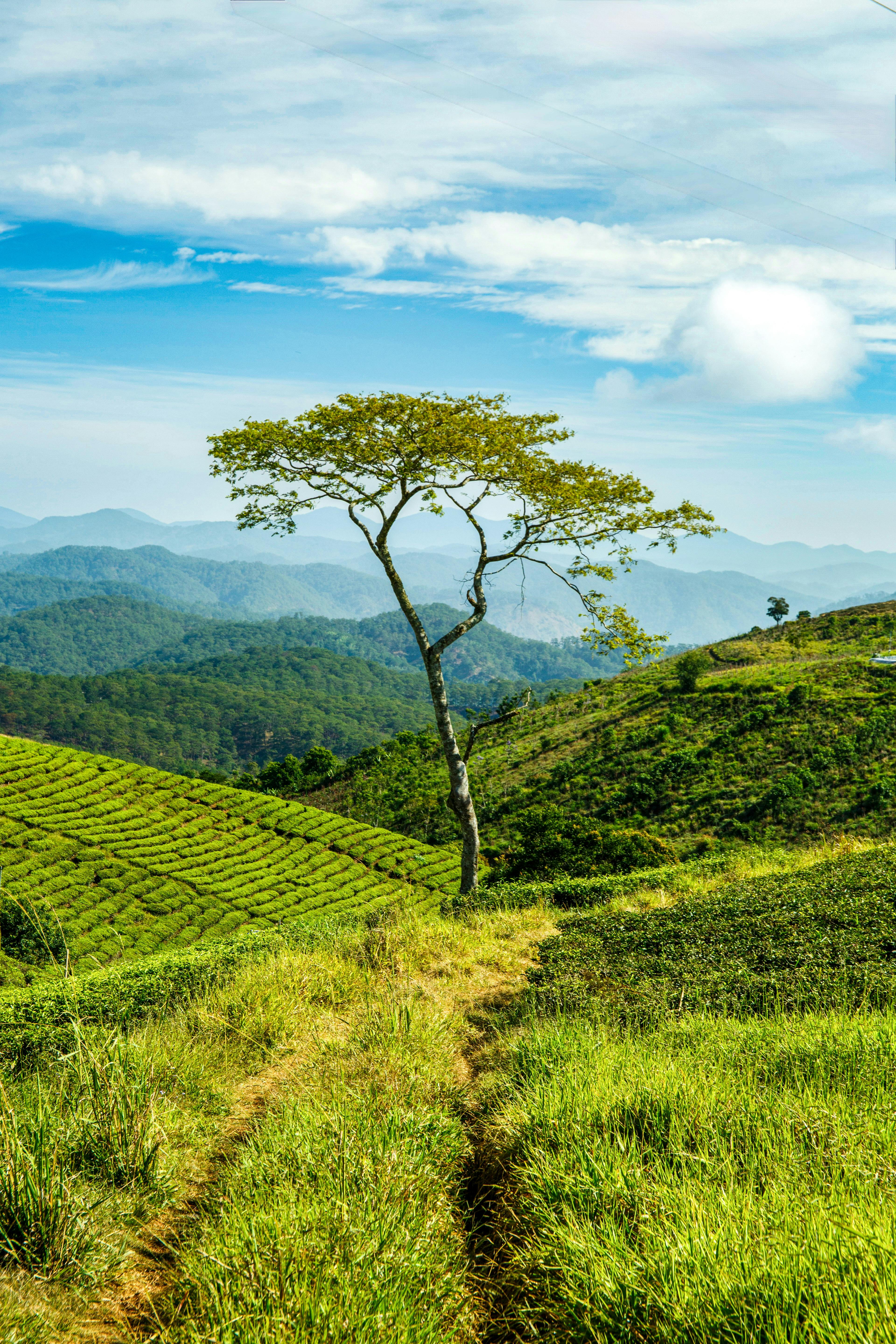 Tope Kerala Photos, Download The BEST Free Tope Kerala Stock Photos ...