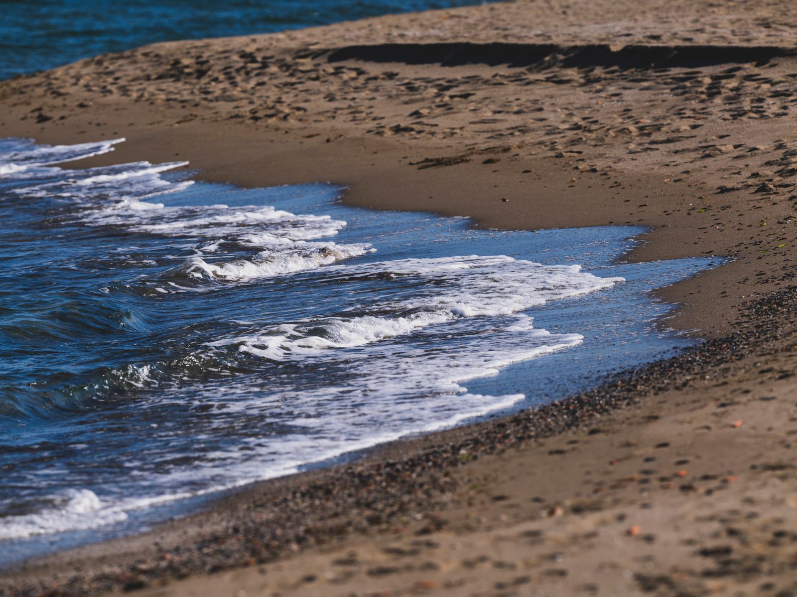 Topless, Beach Photos, Download The BEST Free Topless, Beach Stock ...