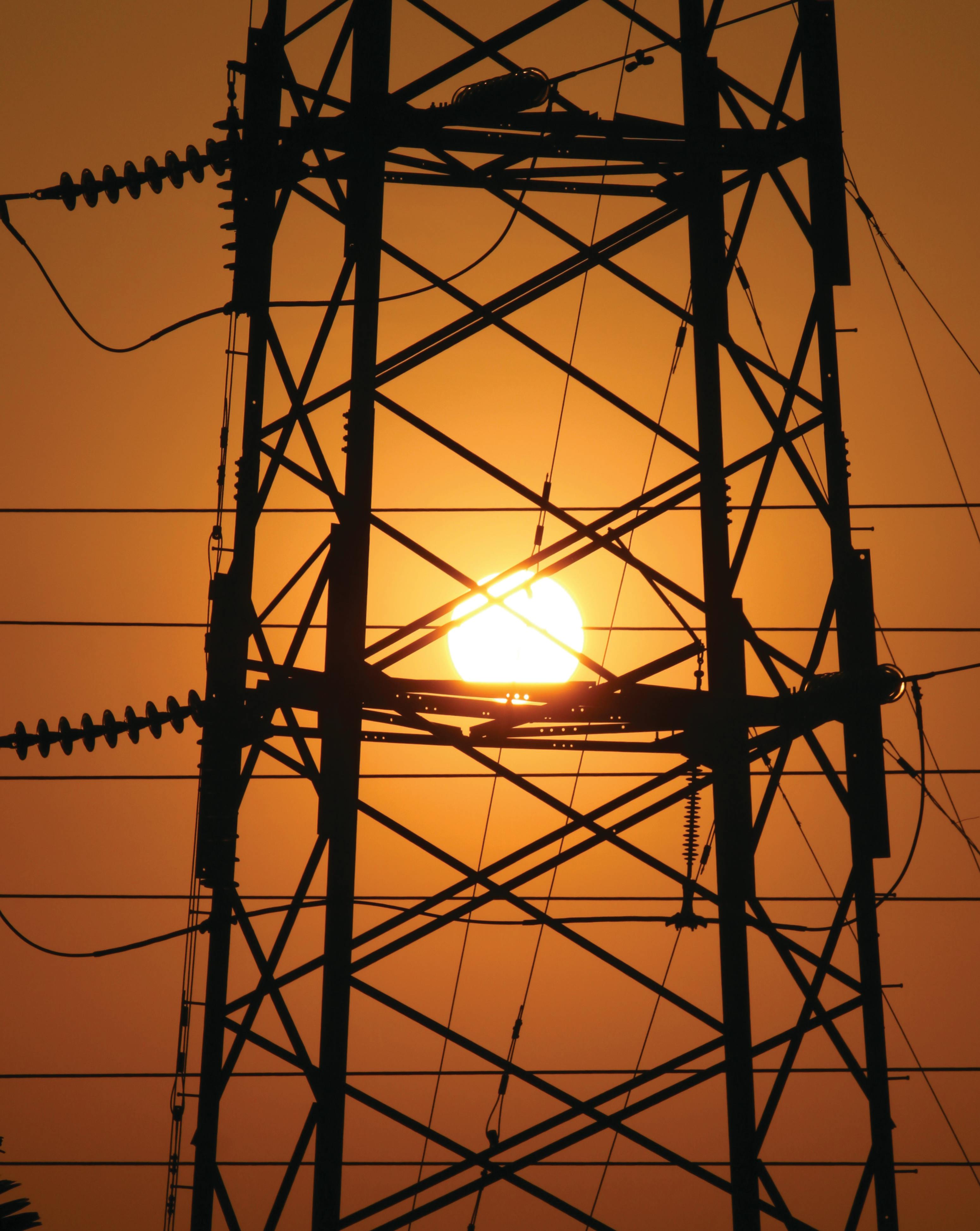 Pylon Prosthesis Photos, Download The BEST Free Pylon Prosthesis Stock ...