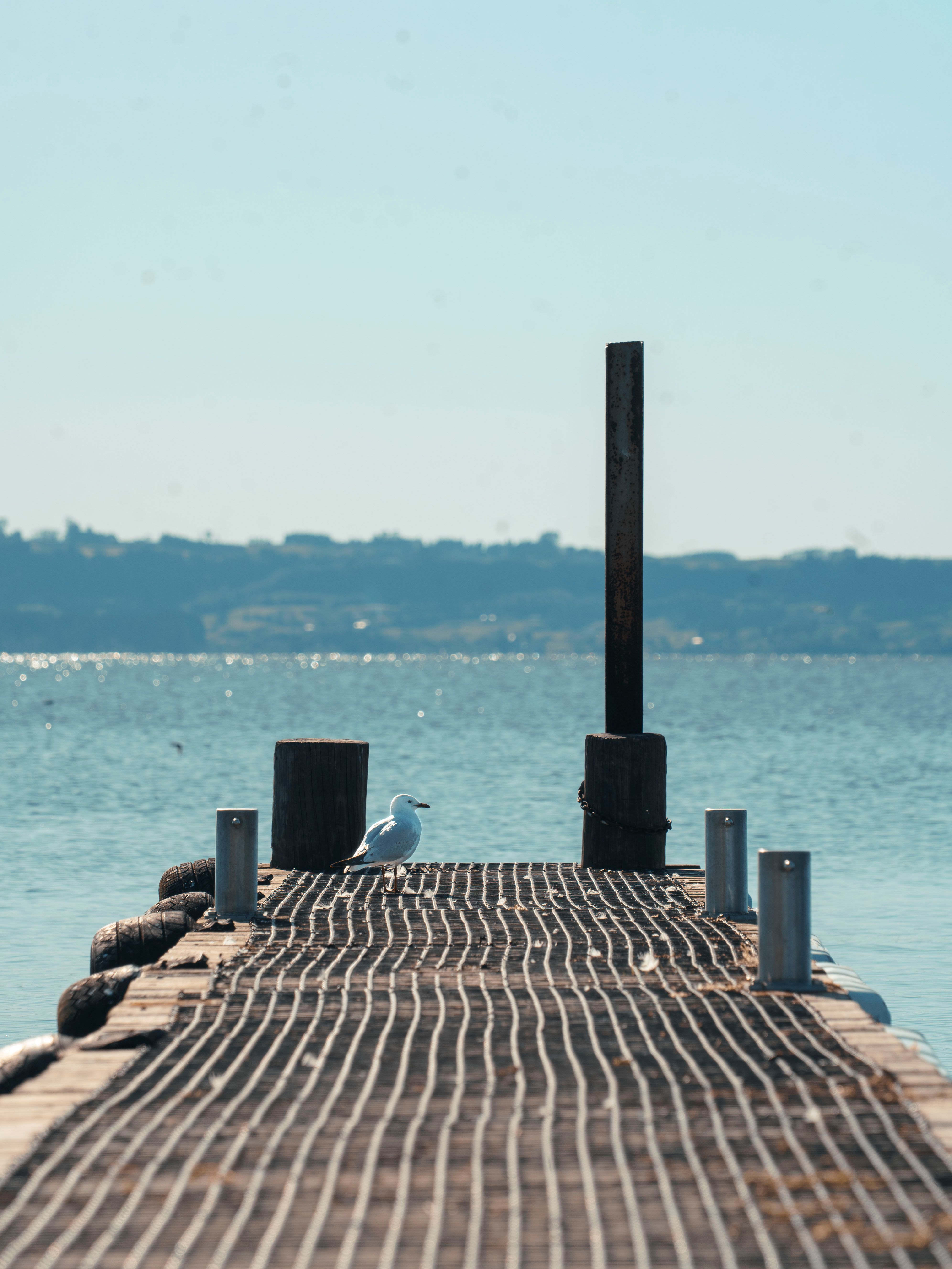 Jetty Photos, Download The BEST Free Jetty Stock Photos & HD Images