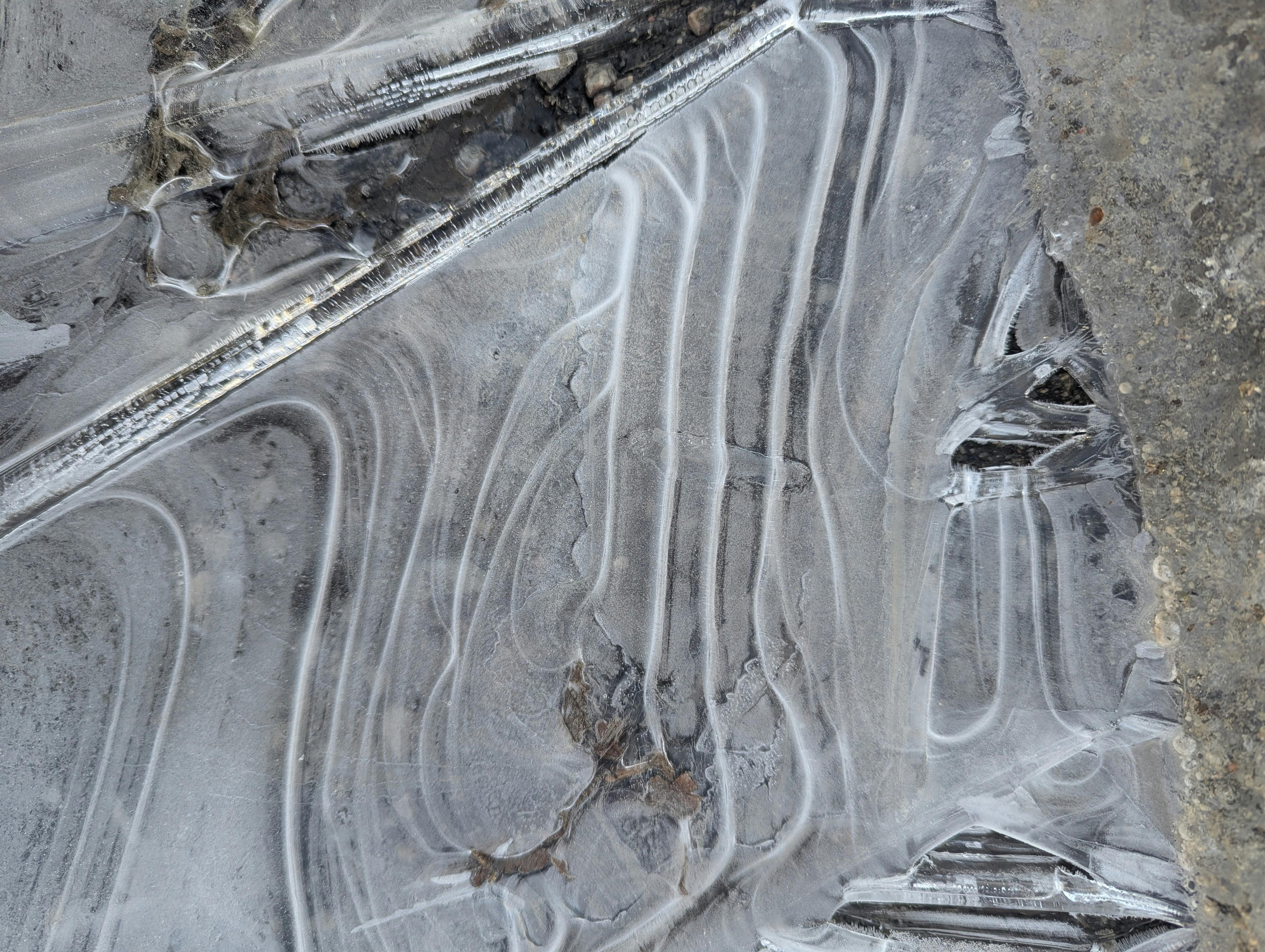 Macro Patterns Photos, Download The BEST Free Macro Patterns Stock ...