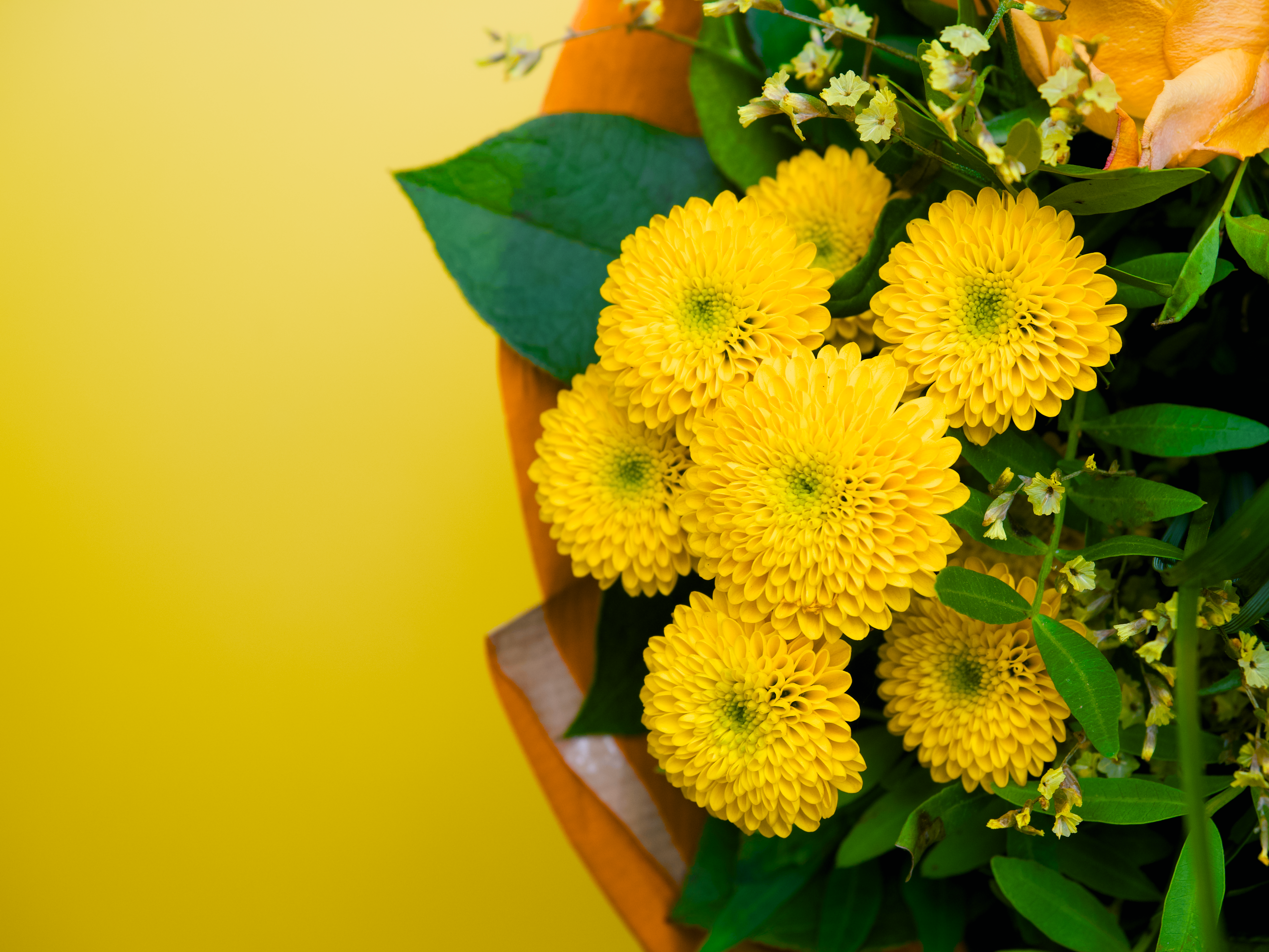 Yellow Photos, Download The BEST Free Yellow Stock Photos & HD Images
