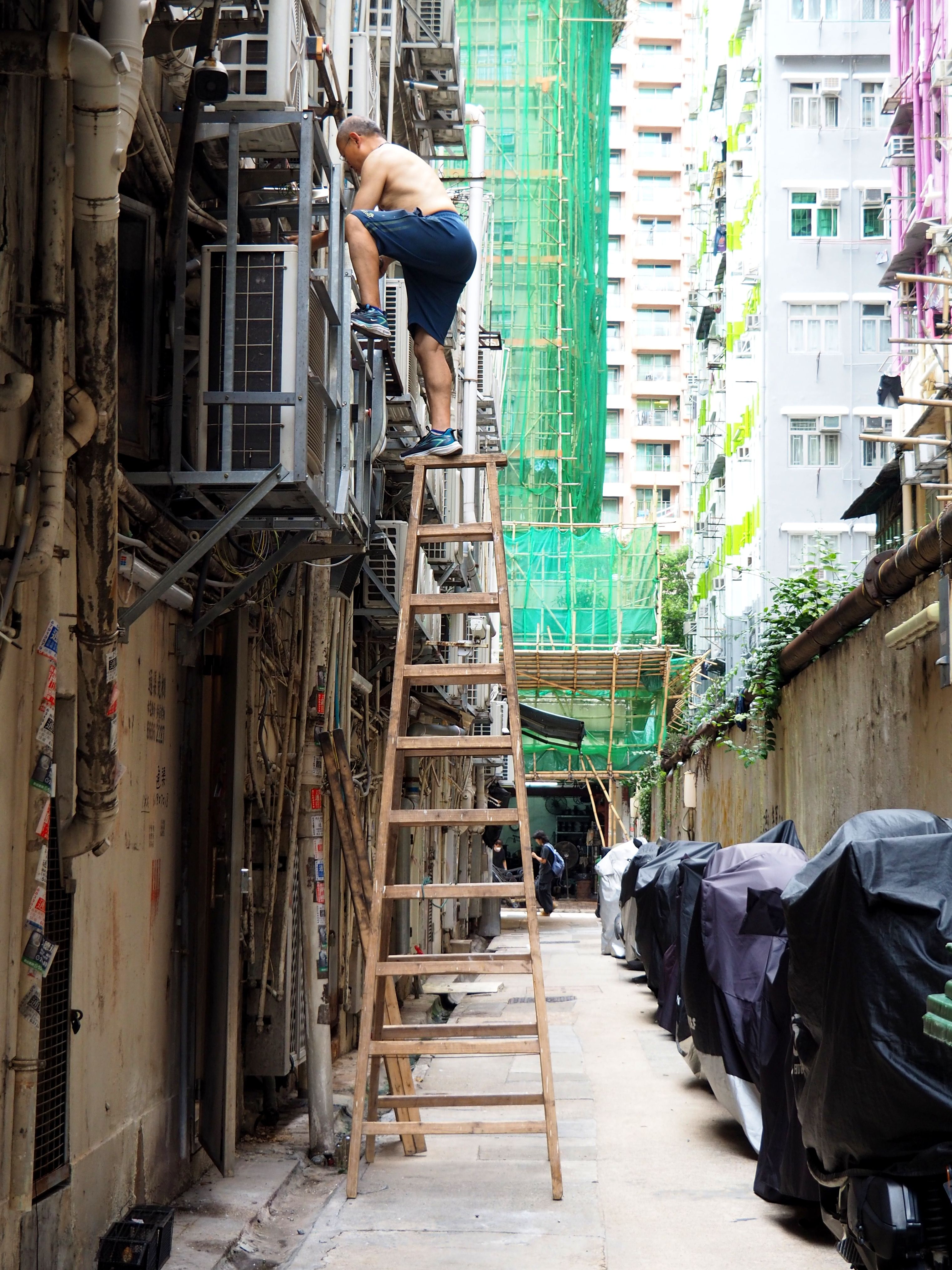 Scaffolding Work Photos, Download The BEST Free Scaffolding Work Stock ...