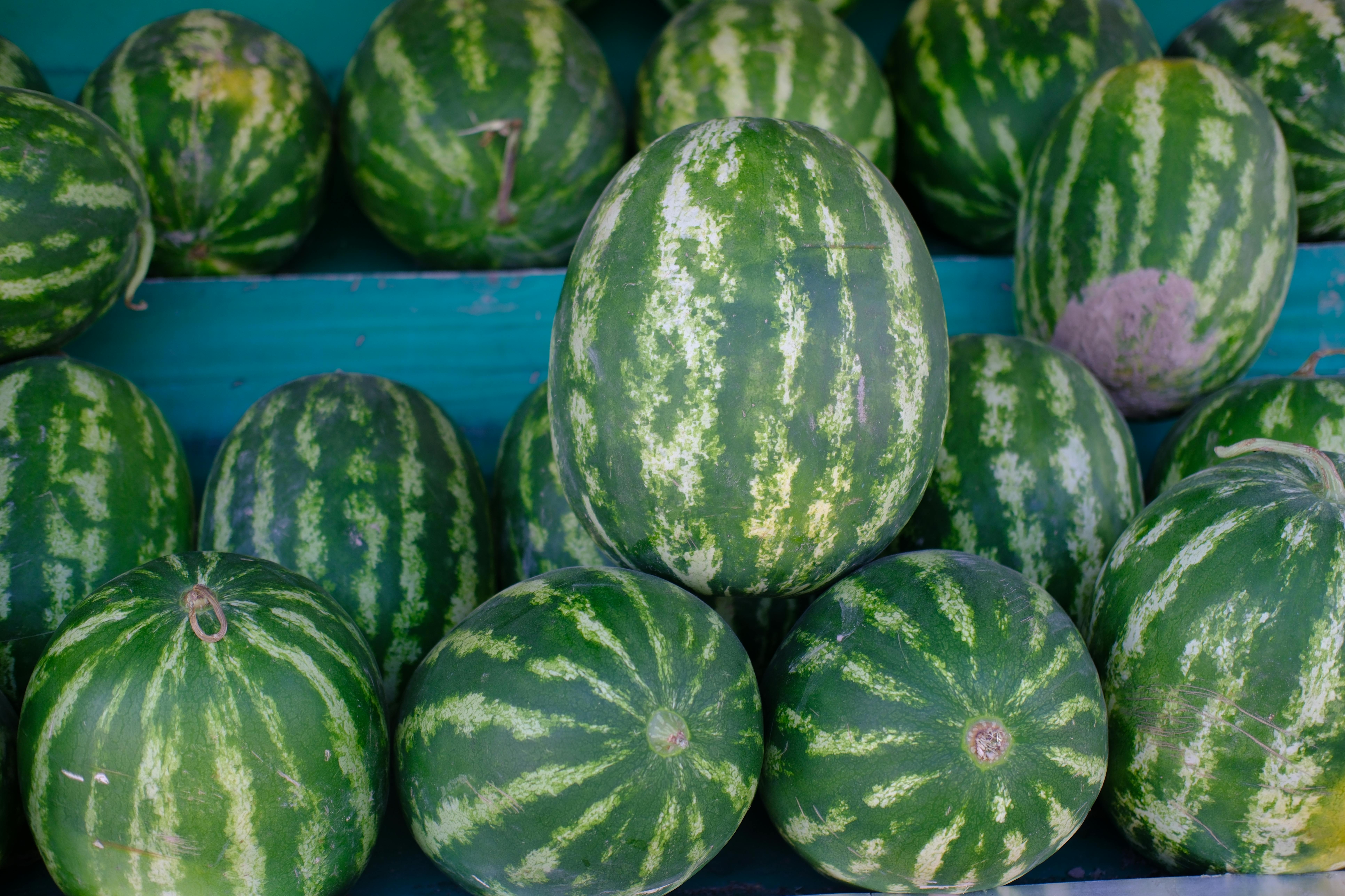 Vibrant Watermelon Display in Izmir Market · Free Stock Photo
