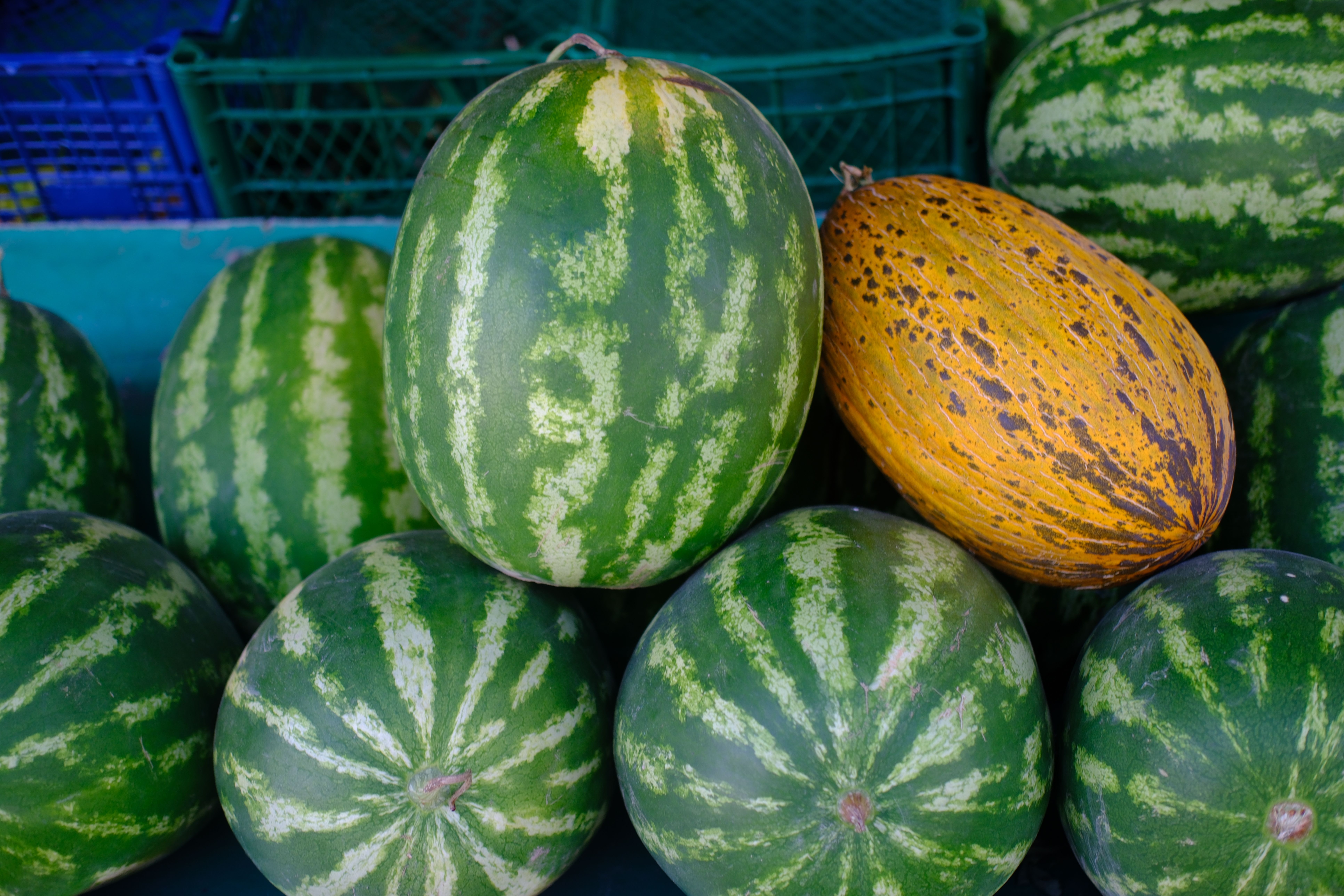 Fresh Watermelons and Melon Display in İzmir Market · Free Stock Photo