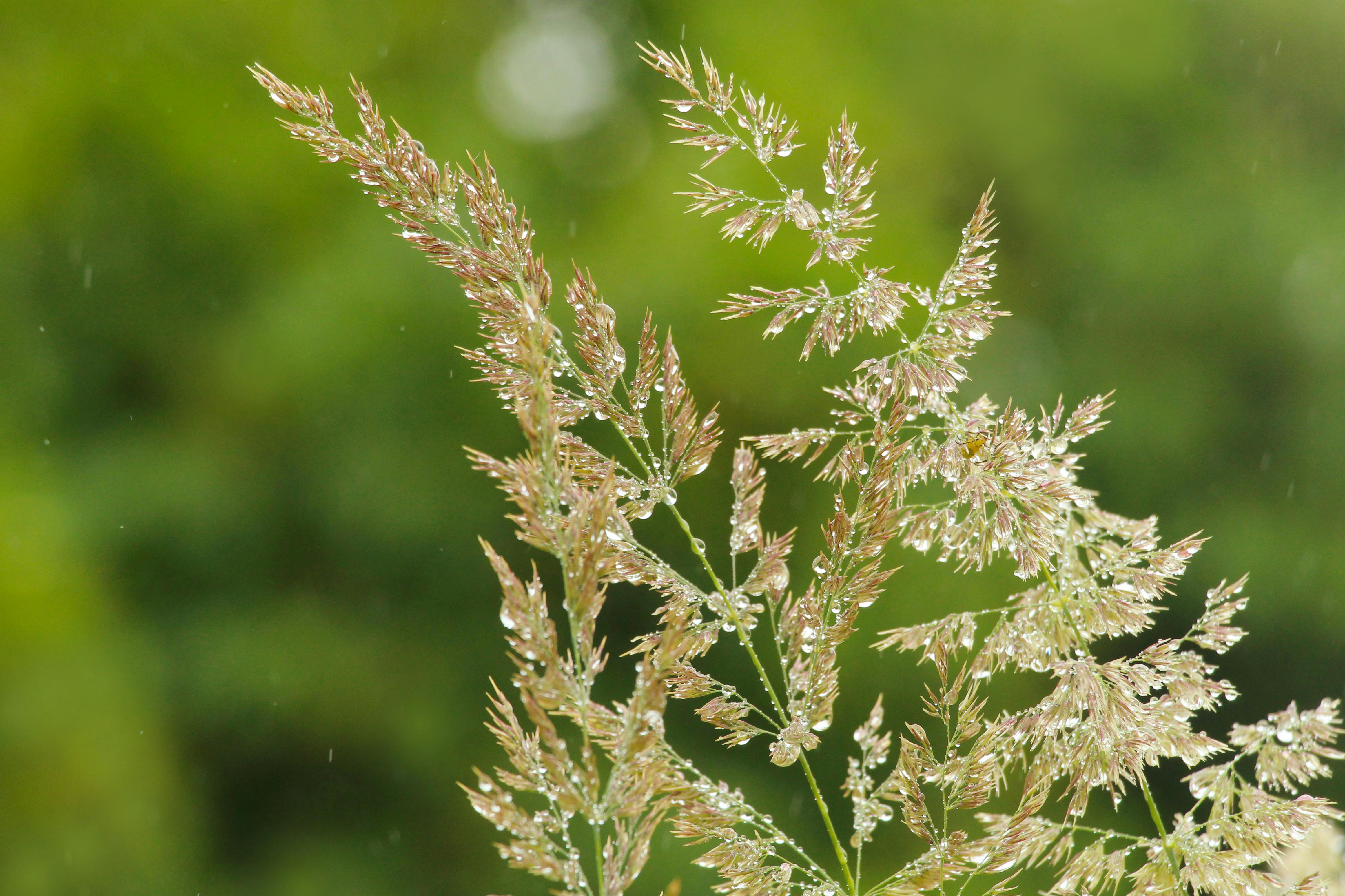 High Quality Photos, Download The BEST Free High Quality Stock Photos ...