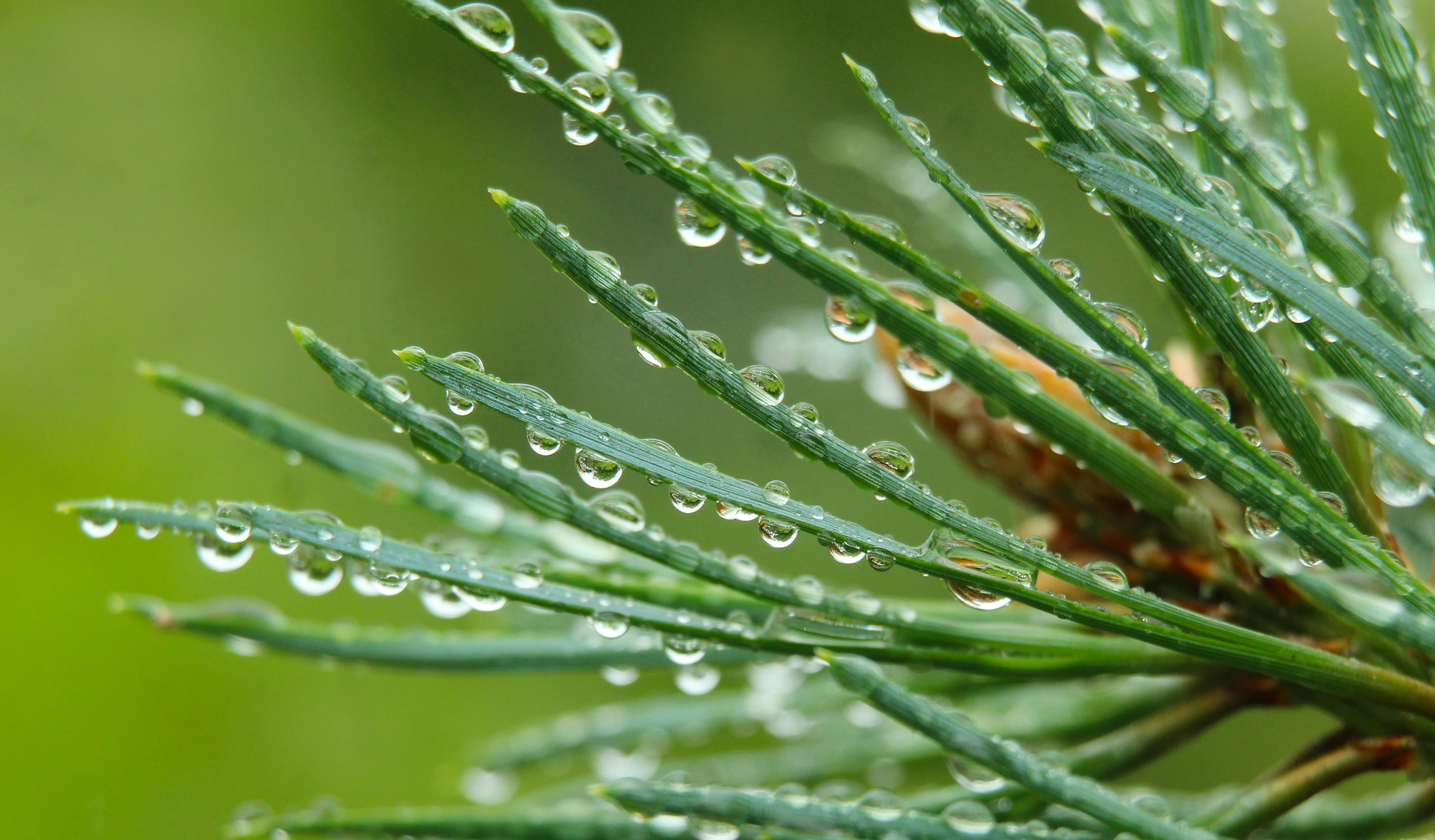 Sermon Background Photos, Download The BEST Free Sermon Background ...