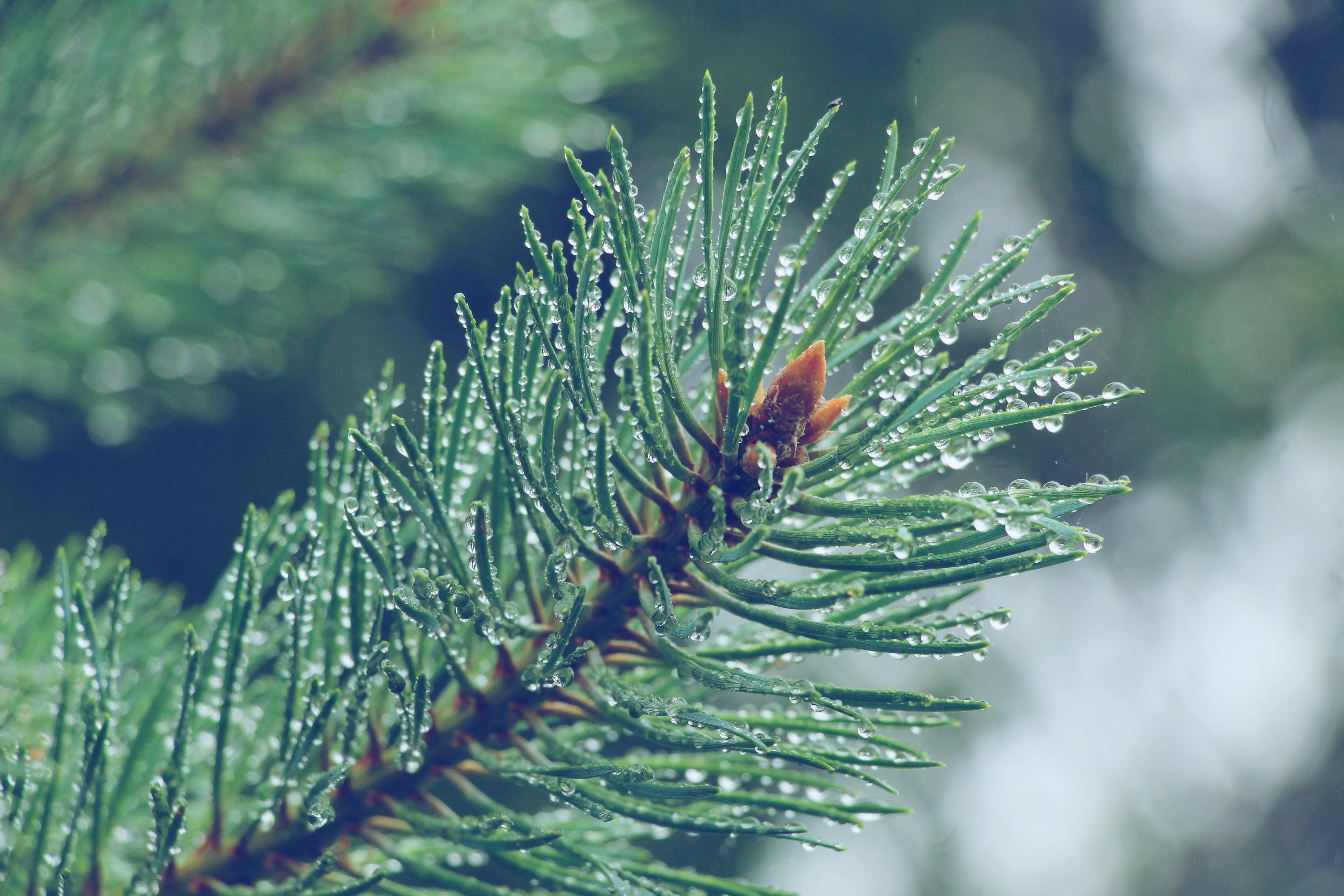 Calm Background Photos, Download The BEST Free Calm Background Stock ...