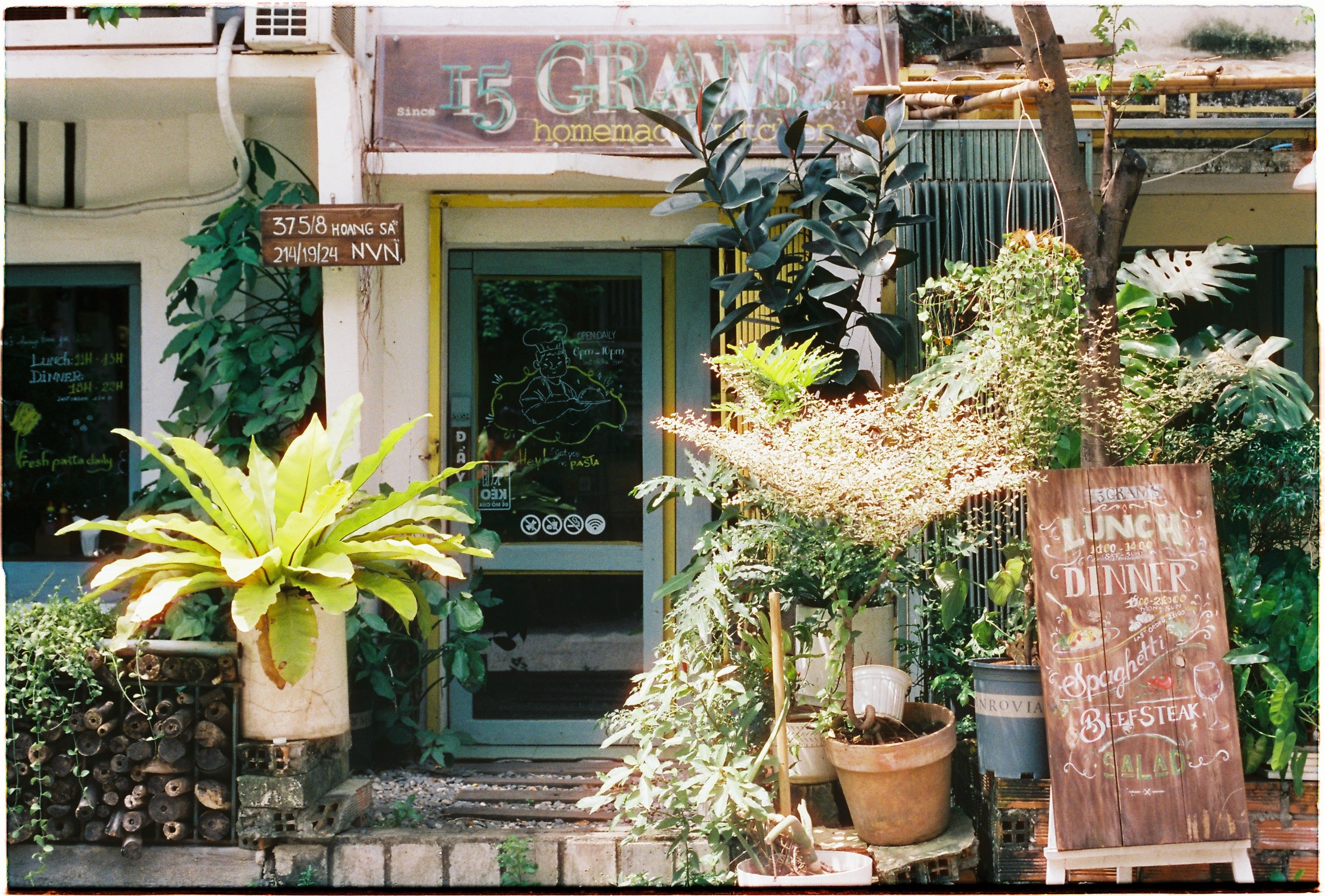 Charming Cafe Entrance with Greenery · Free Stock Photo
