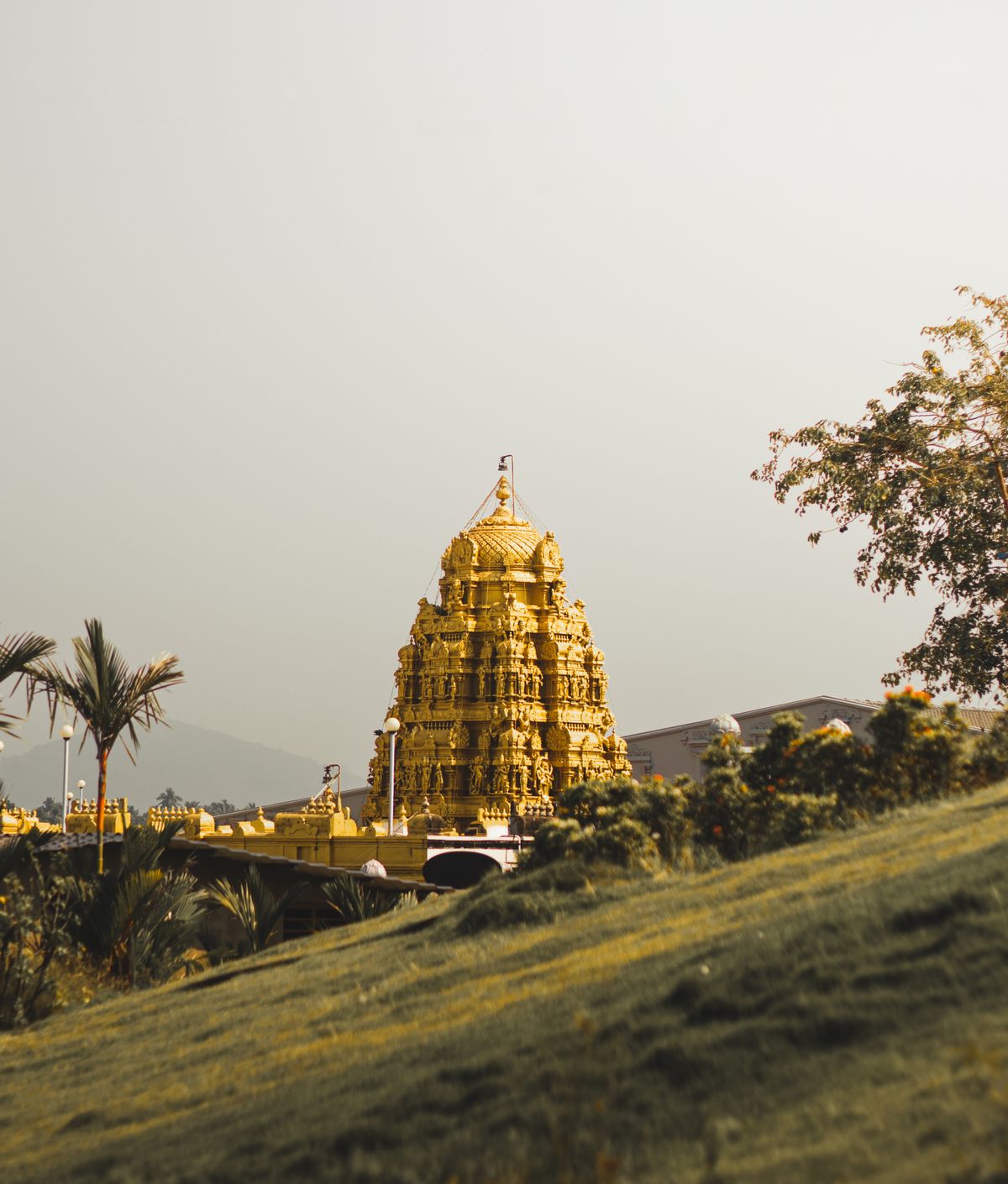 8k Wallpaper Golden Temple Photos, Download The BEST Free 8k Wallpaper ...