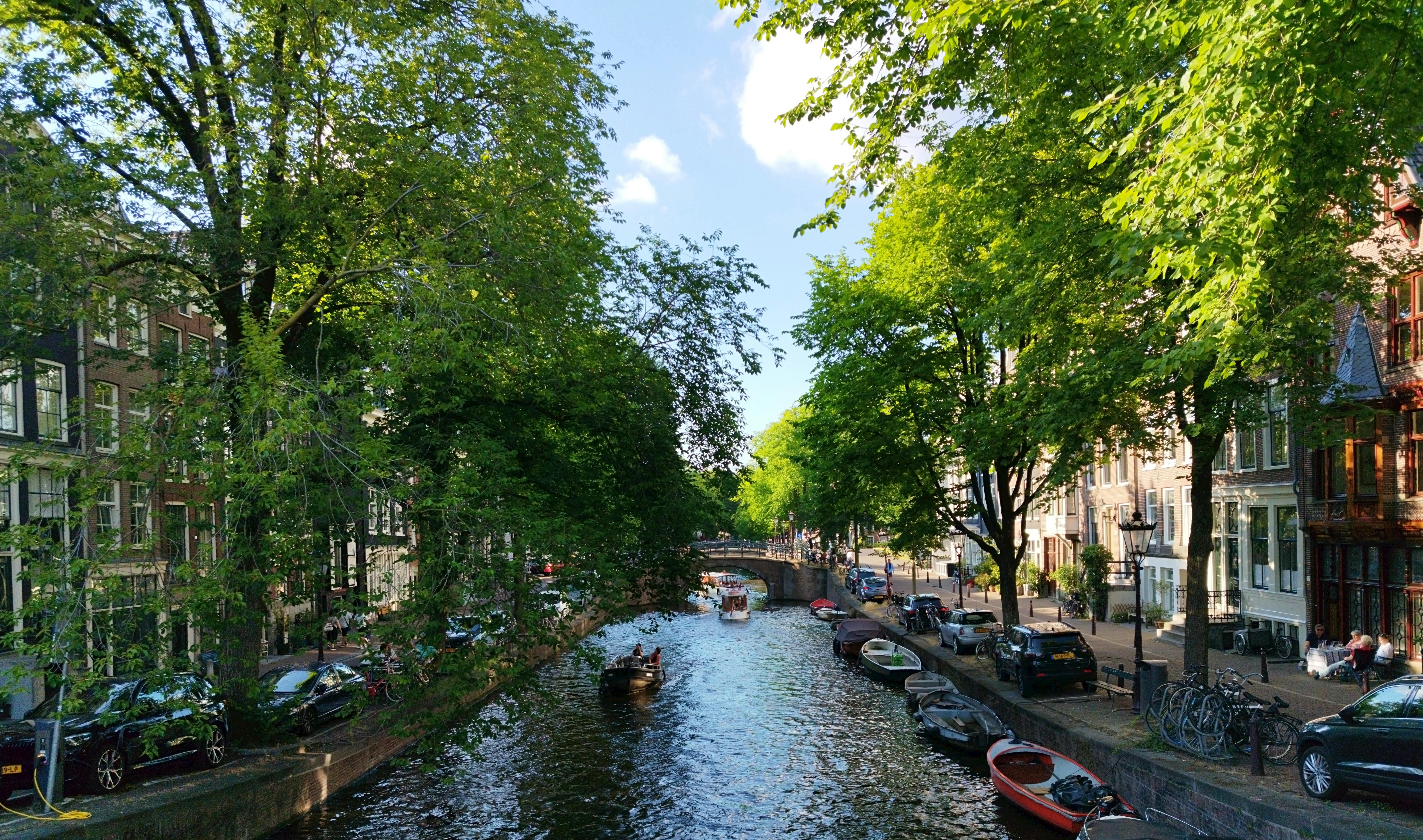 Charming Amsterdam Canal in Summer Daylight · Free Stock Photo