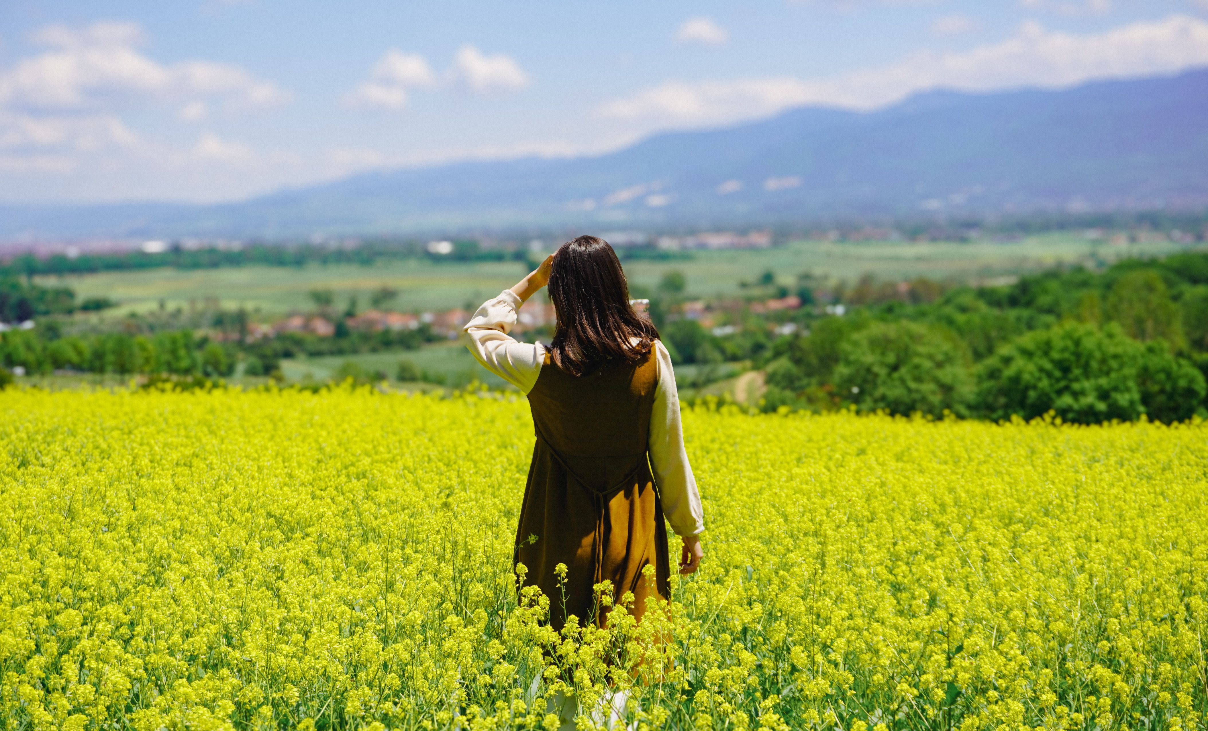 Woman in Yellow Flower Field with Scenic Mountain View · Free Stock Photo