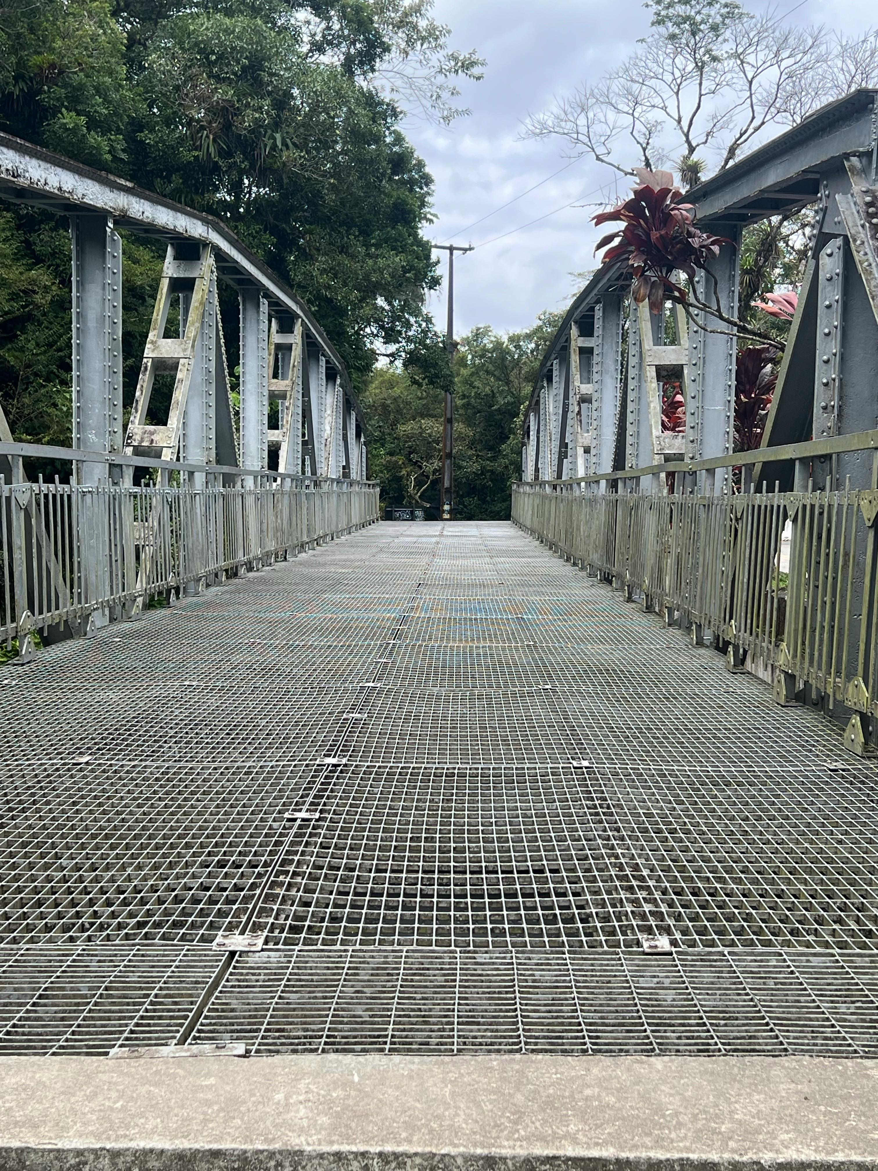 Steel Footbridge with Latticed Walkway · Free Stock Photo
