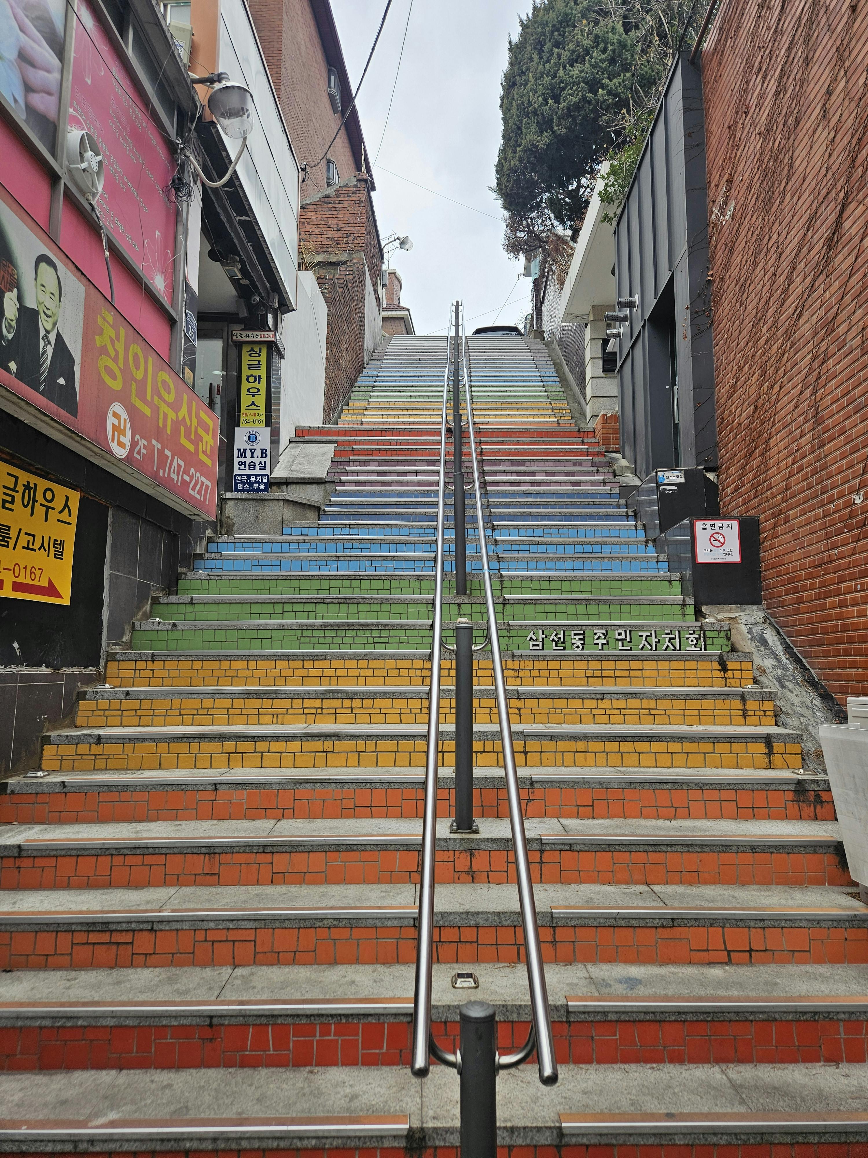 Korea Agaclari Photos, Download The BEST Free Korea Agaclari Stock ...