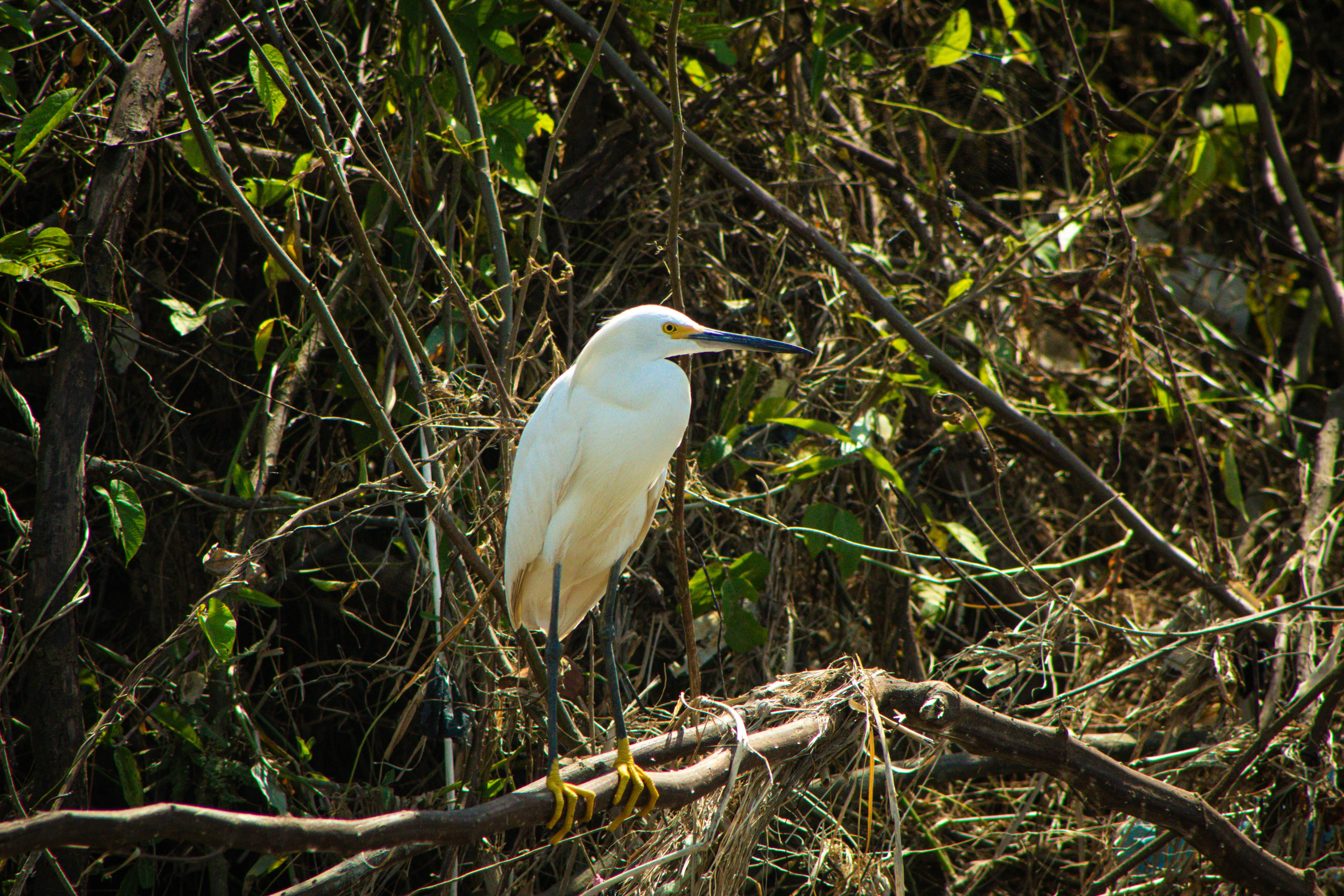 Freeporn+Breeding Photos, Download The BEST Free Freeporn+Breeding ...