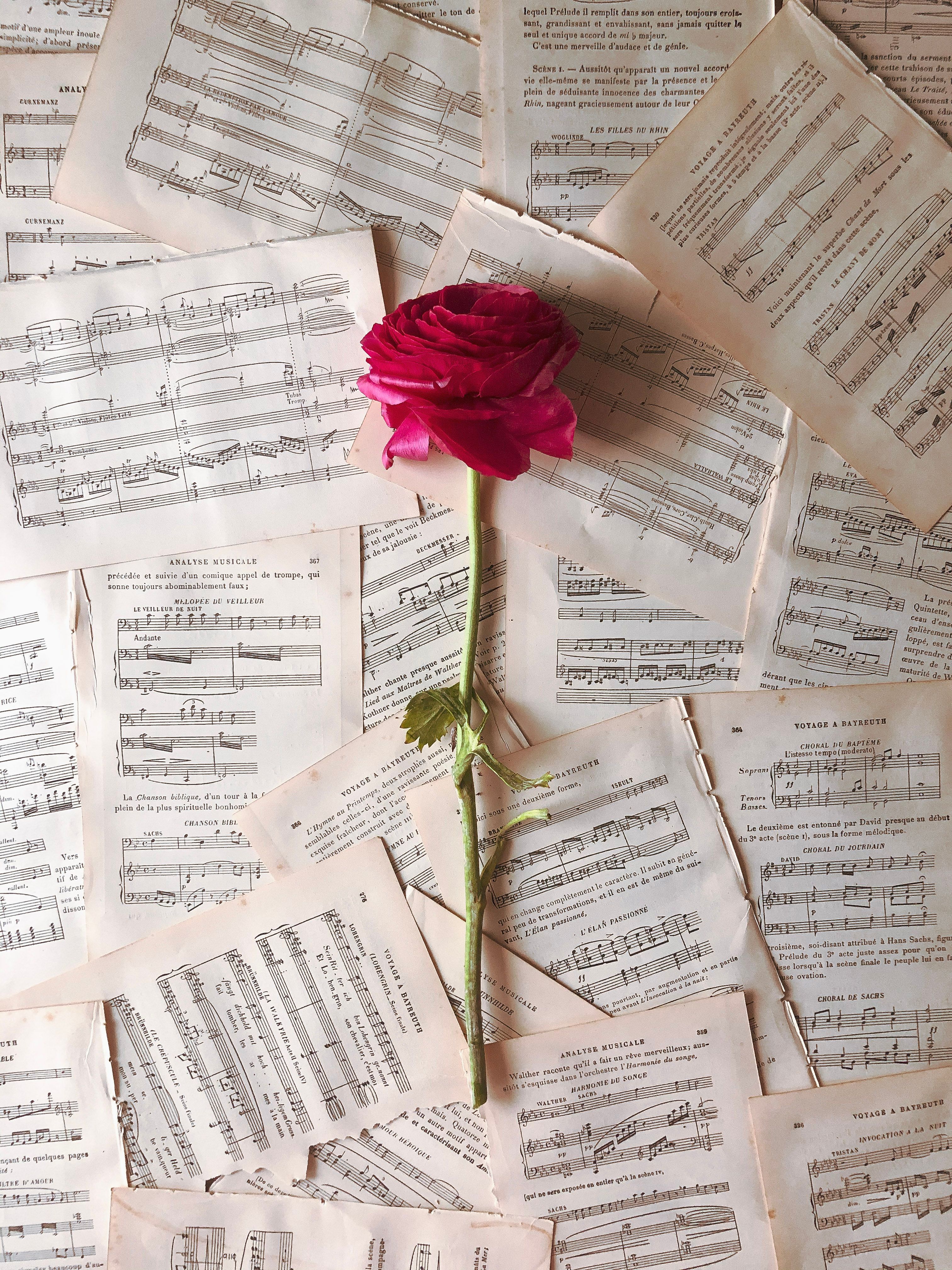 Desktop Backgrounds Sheet Music Photos, Download The BEST Free Desktop ...